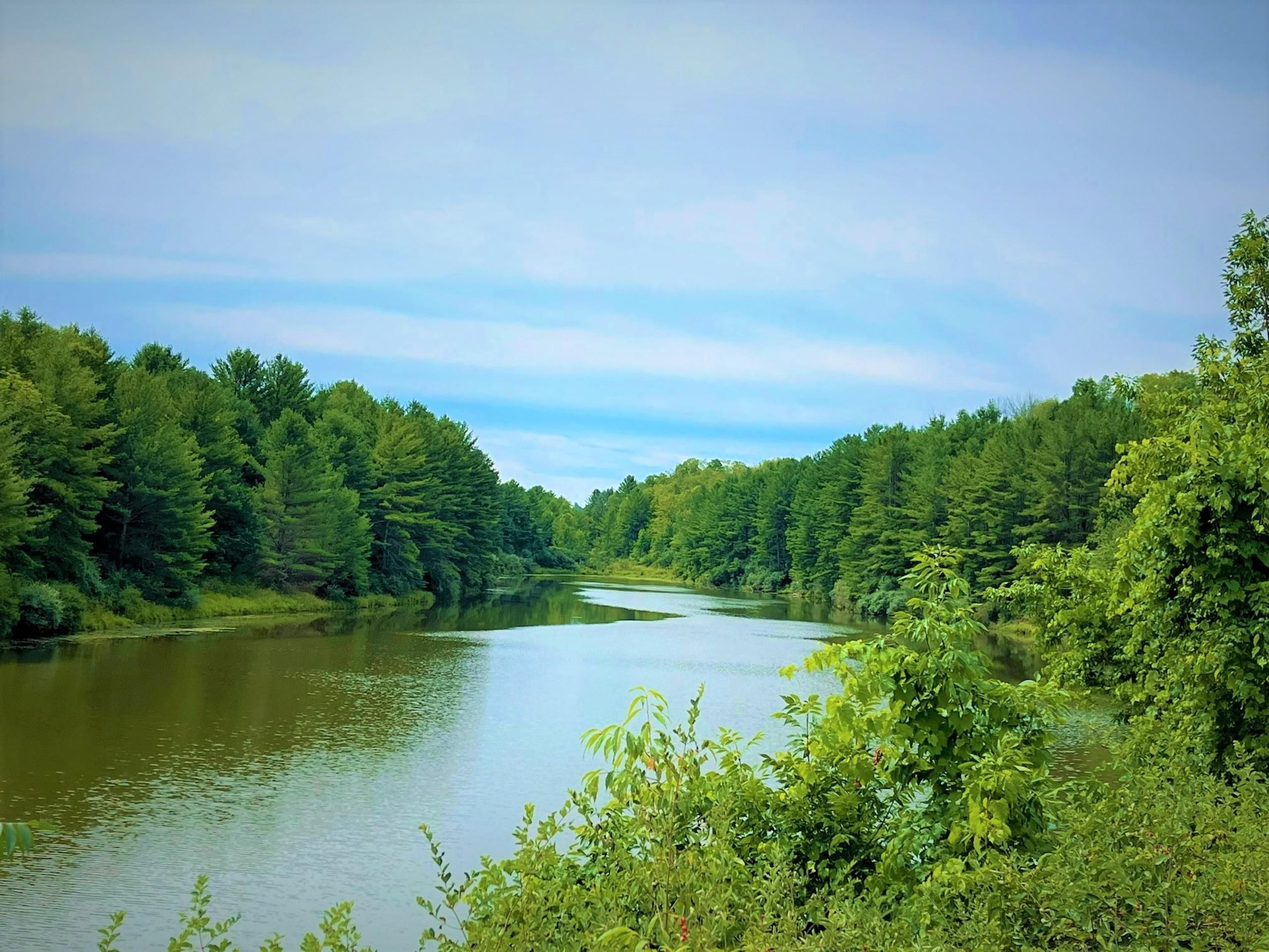 5523 Coon Road, Cameron, NY 14819 | Land and Farm