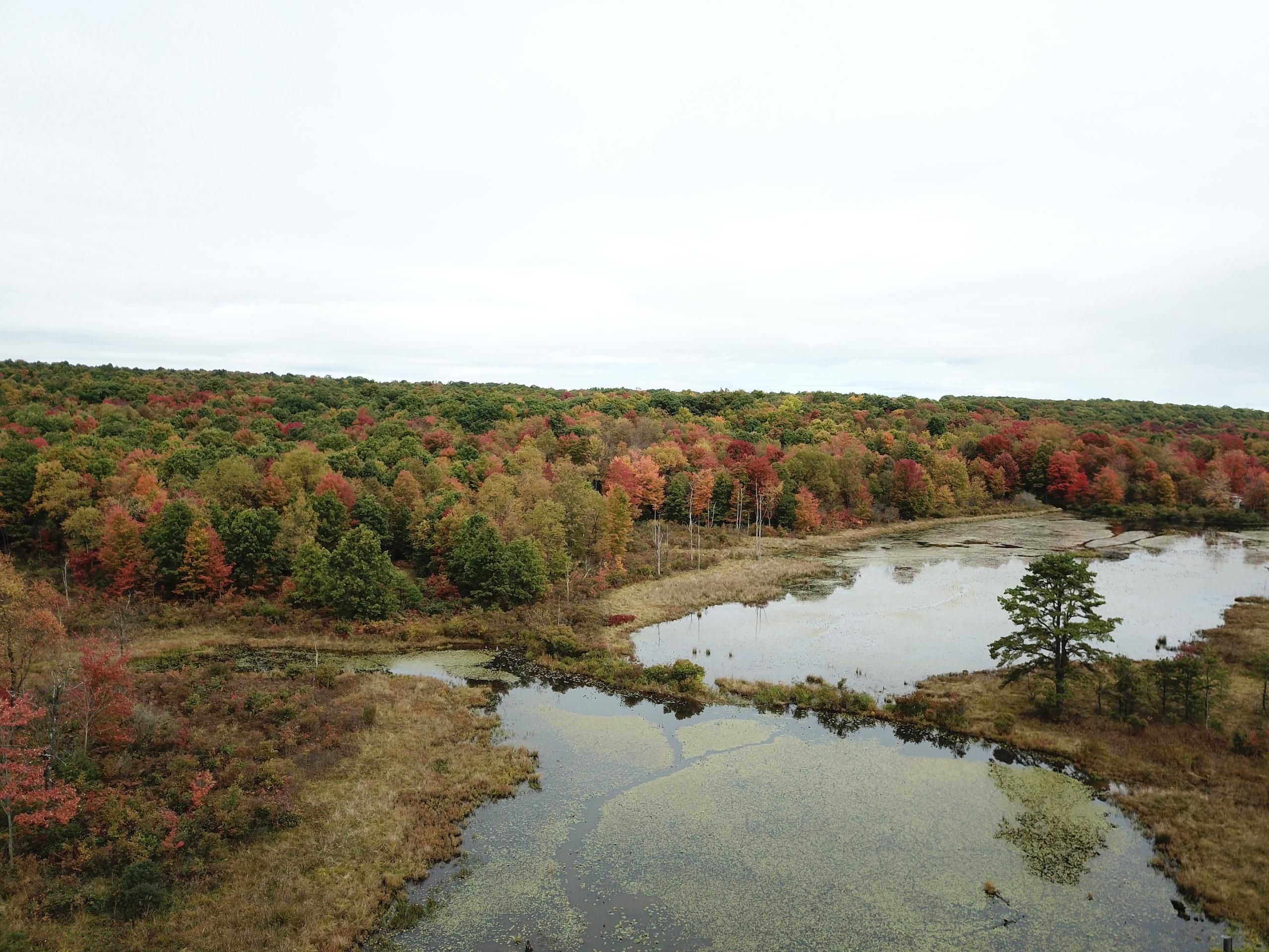 Tyrone Pike, Lot#WP001, Phillipsburg, PA 16866 | Land and Farm