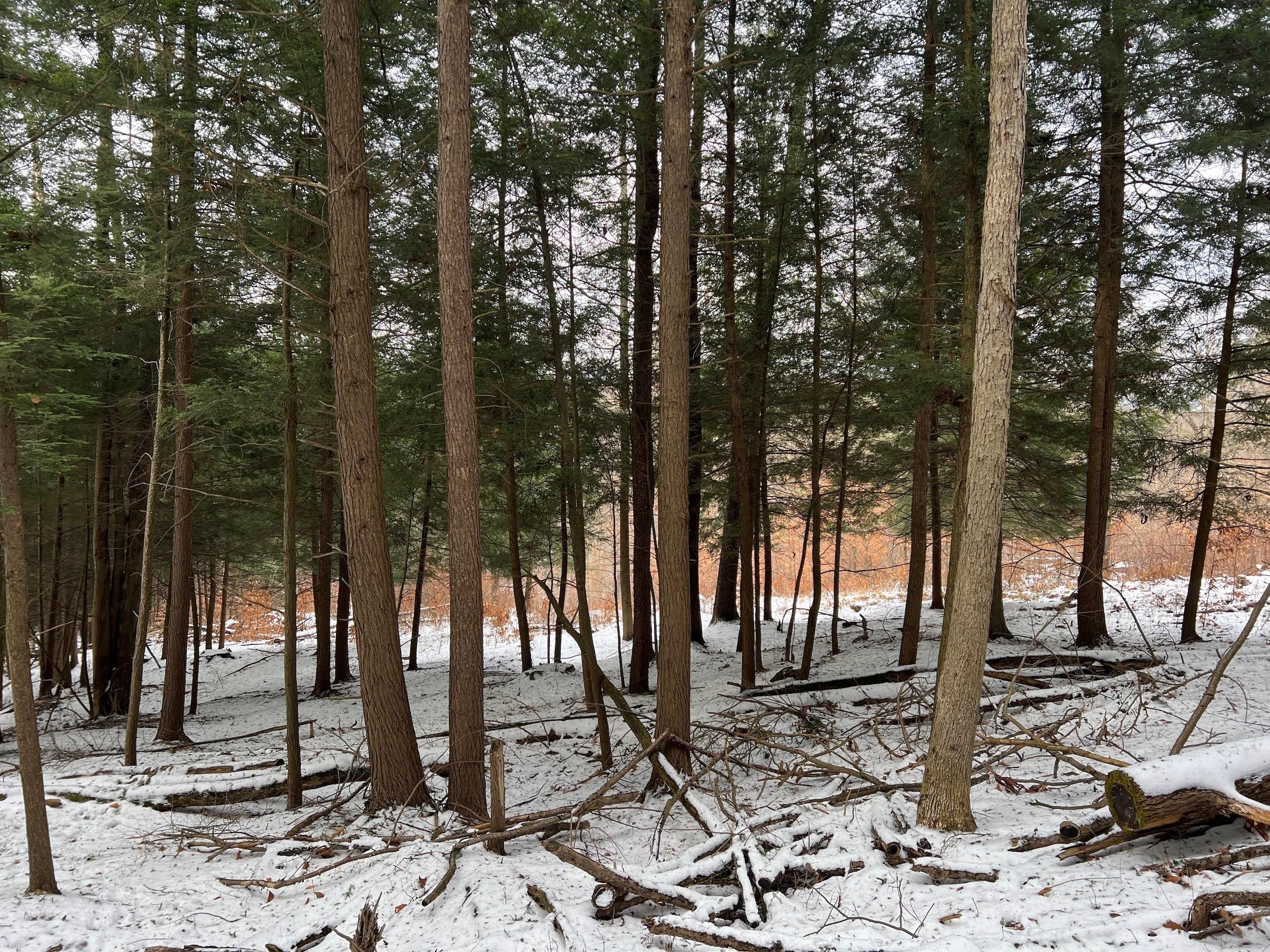 20513 State Highway 8, Centerville, PA 16404 | Land and Farm