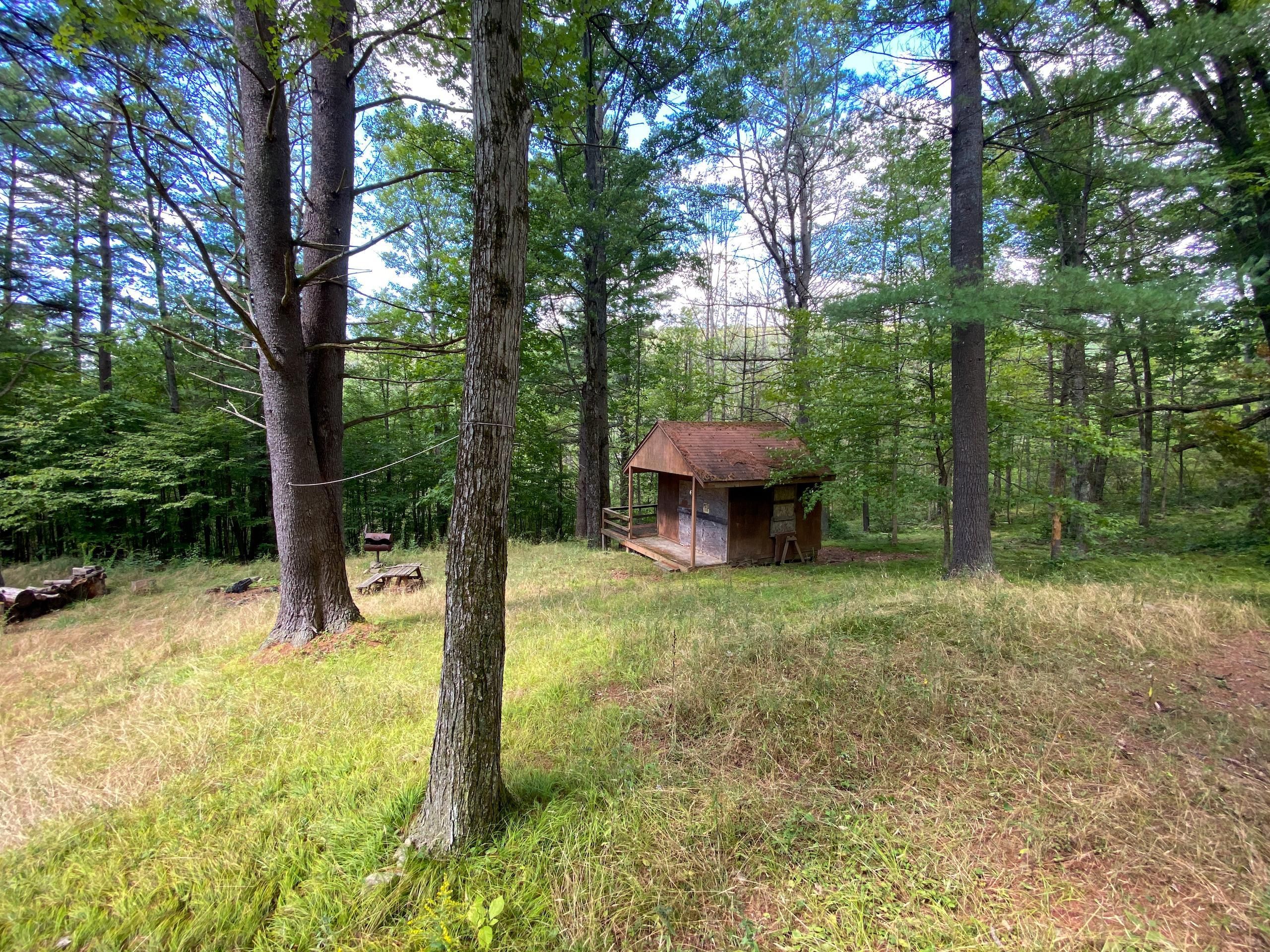 6389 Whitcomb Road, Savona, NY 14879 | Land and Farm