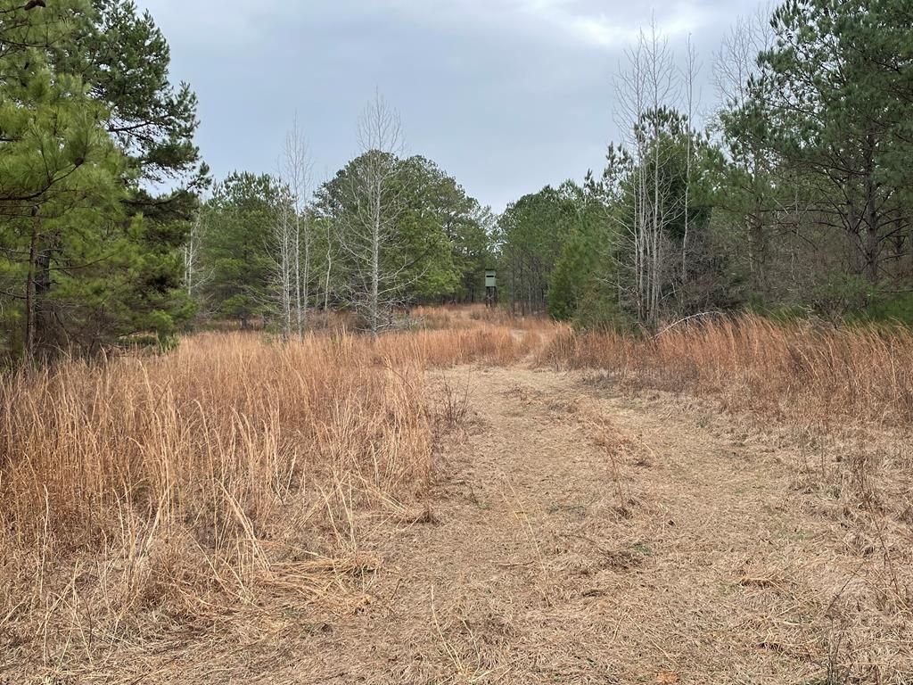 47 Acres, County Road 27, Banks, AL 36005 | Land and Farm