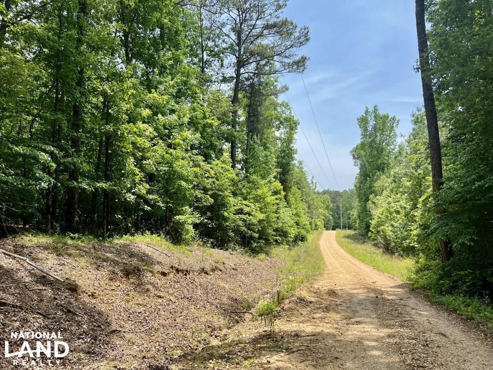 0 County Road 10, Hamilton, AL 35570 | Land and Farm