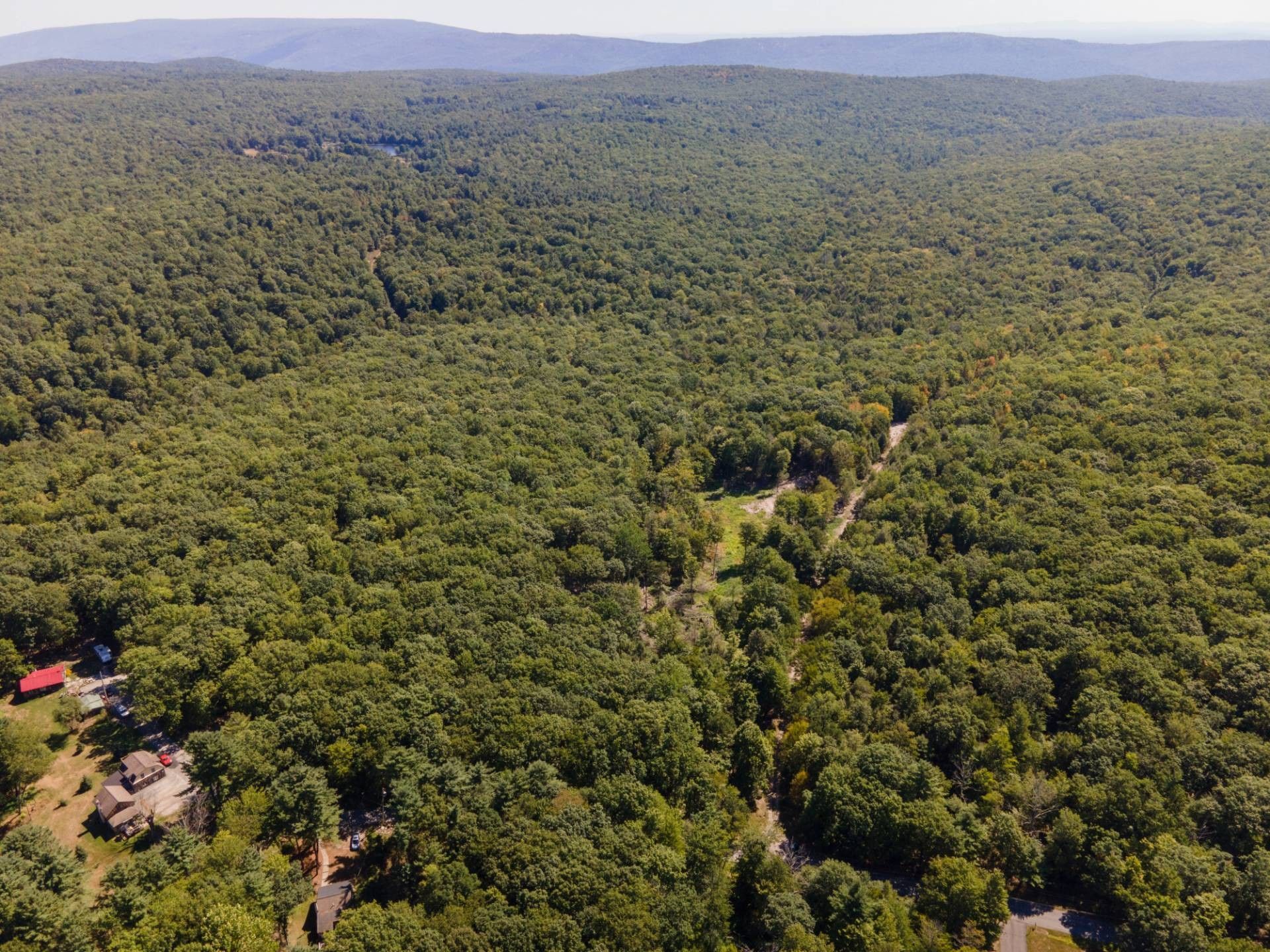 113 Acres, TBD Callahans Road, Wurtsboro, NY 12790 | Land and Farm