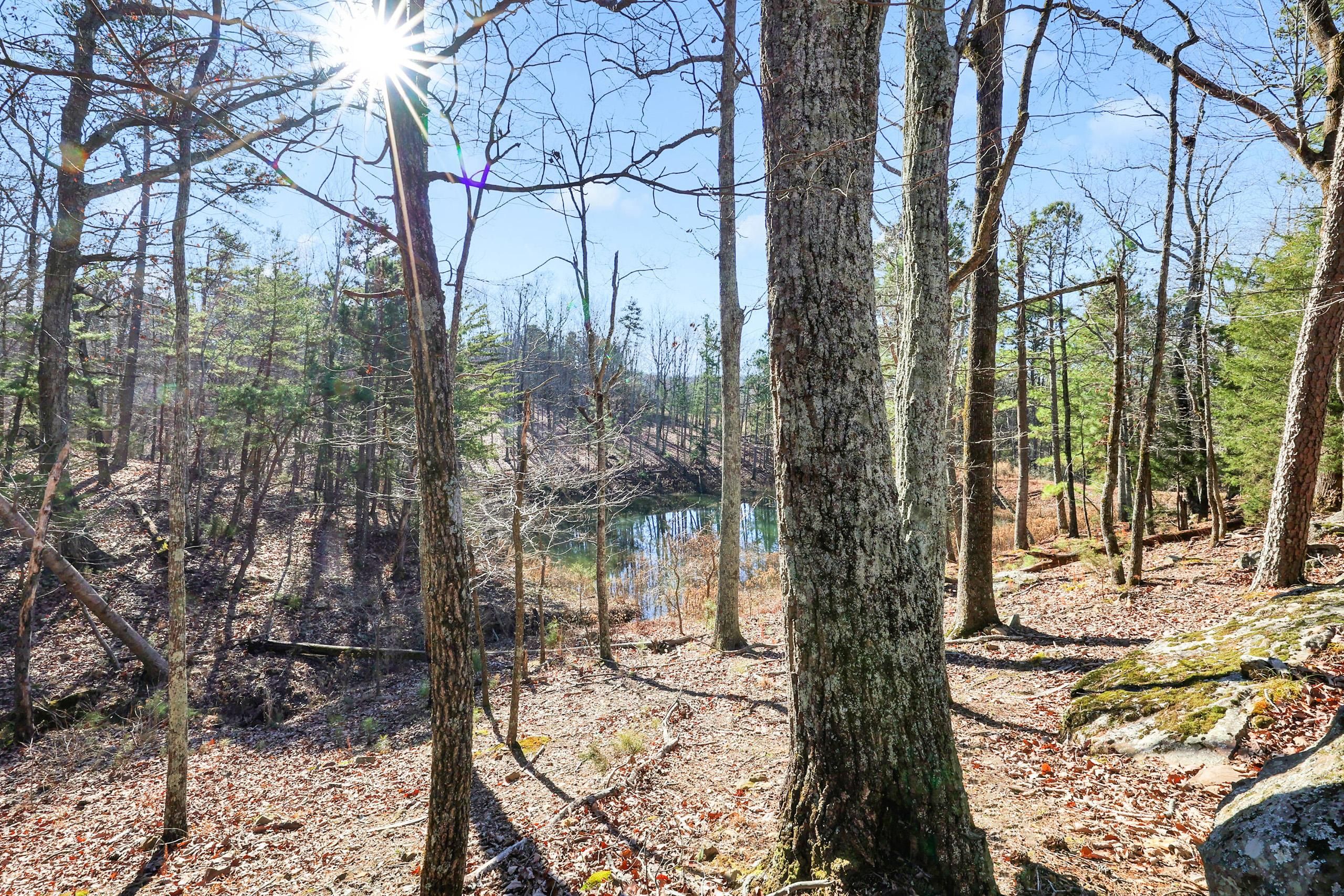 Seven Bark Lane, Oneonta, AL 35121 | Land and Farm