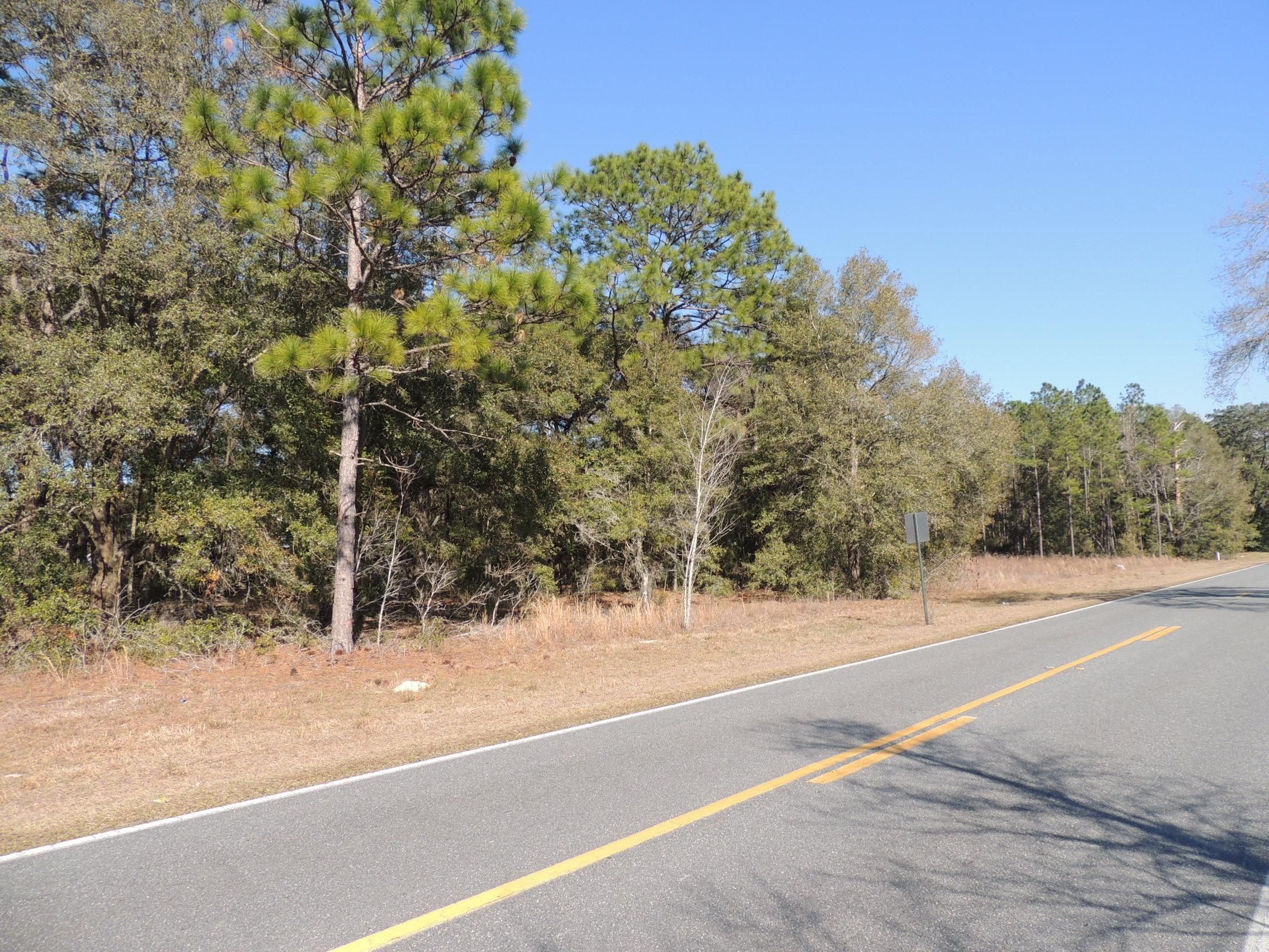 20051 Southeast 35th Street, Morriston, FL 32668 | MLS: OM652232 | Land ...