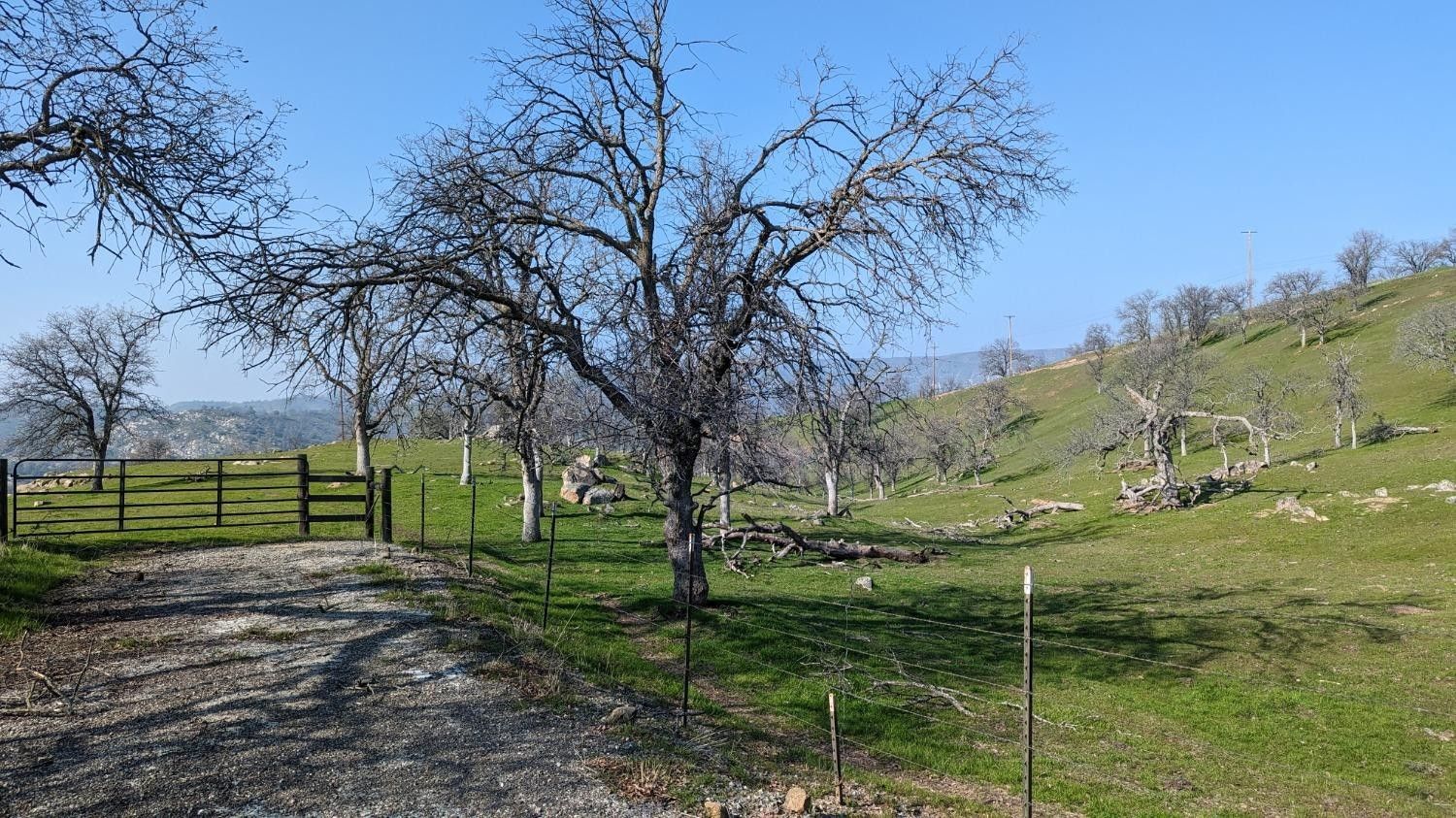 10 Acres, 1 Rusty Spur Ln, Clovis, CA 93619 | Land and Farm