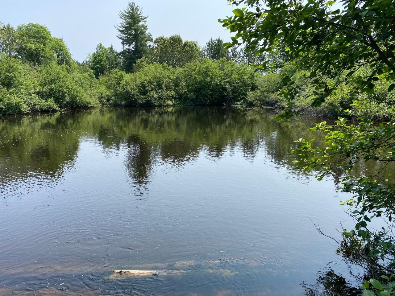 13 Acres, Off CTH A, Alvin, WI 54542 | Land and Farm