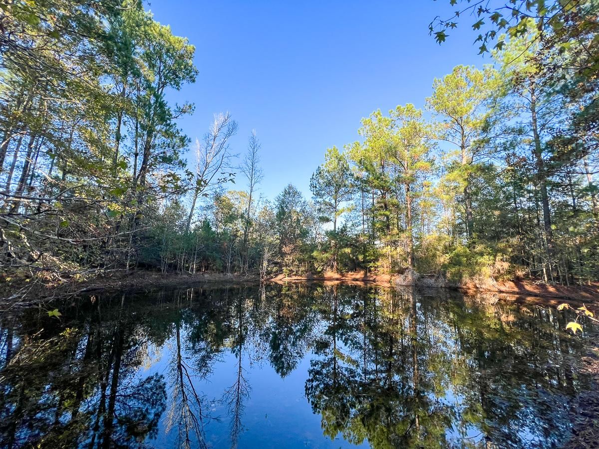 3581 Forest Service Road 527, Kennard, TX 75847 | Land and Farm