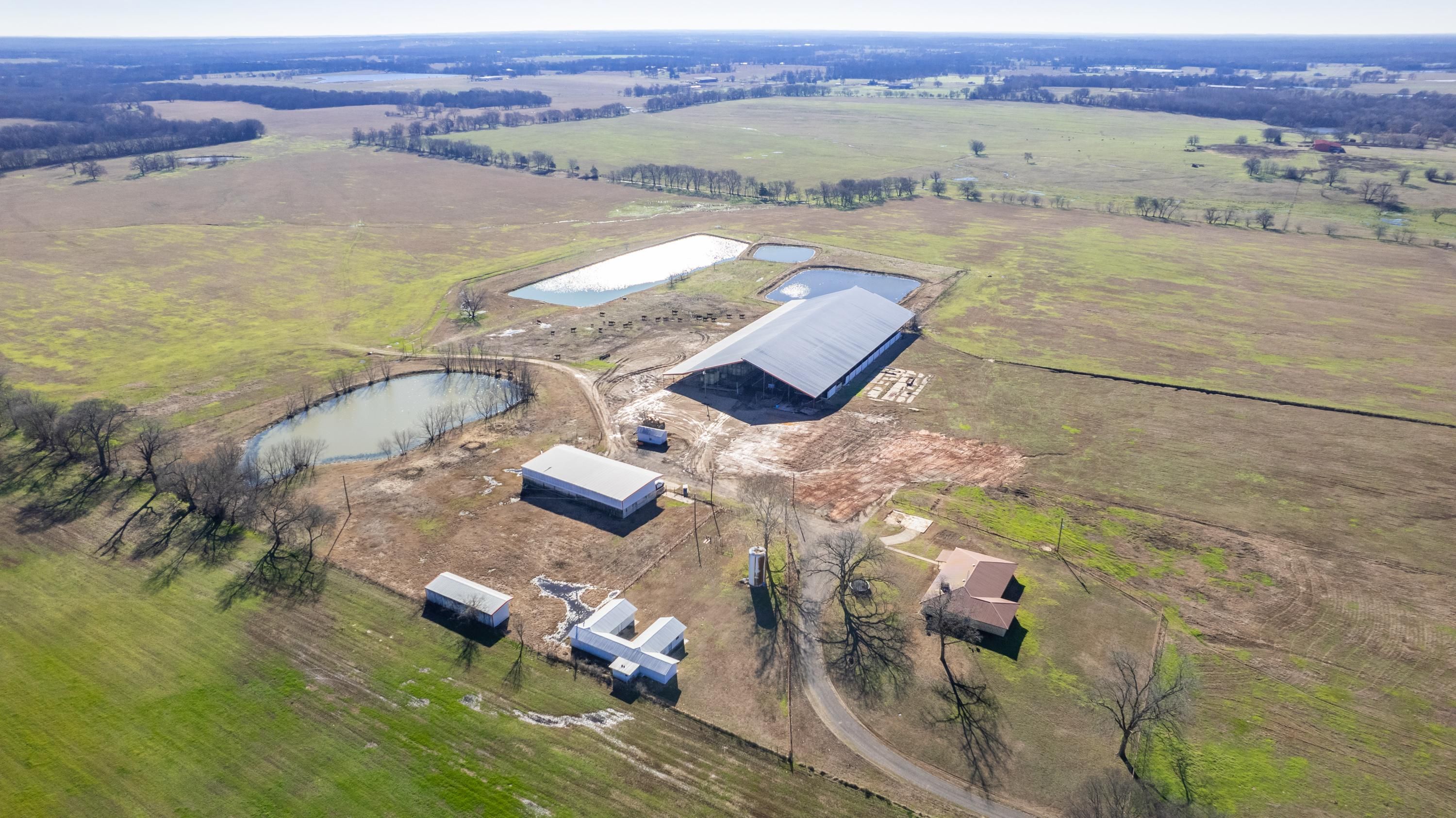 318 Skidmore Lane, Pickton, TX 75471 | MLS: 20241414 | Land and Farm