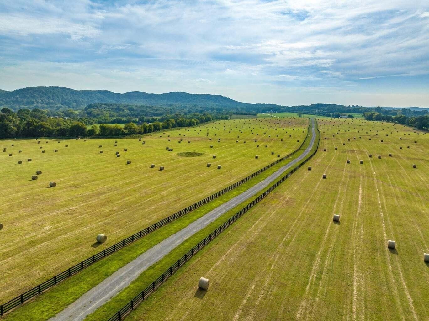 25.41 Acres, 7950 Highway 60, Georgetown, TN 37336 | Land and Farm