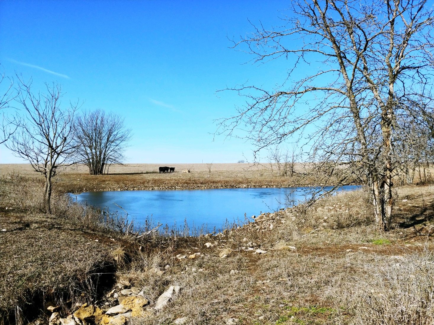 00000 Flint Road, Centerville, KS 66014 | MLS: 2420445 | Land and Farm
