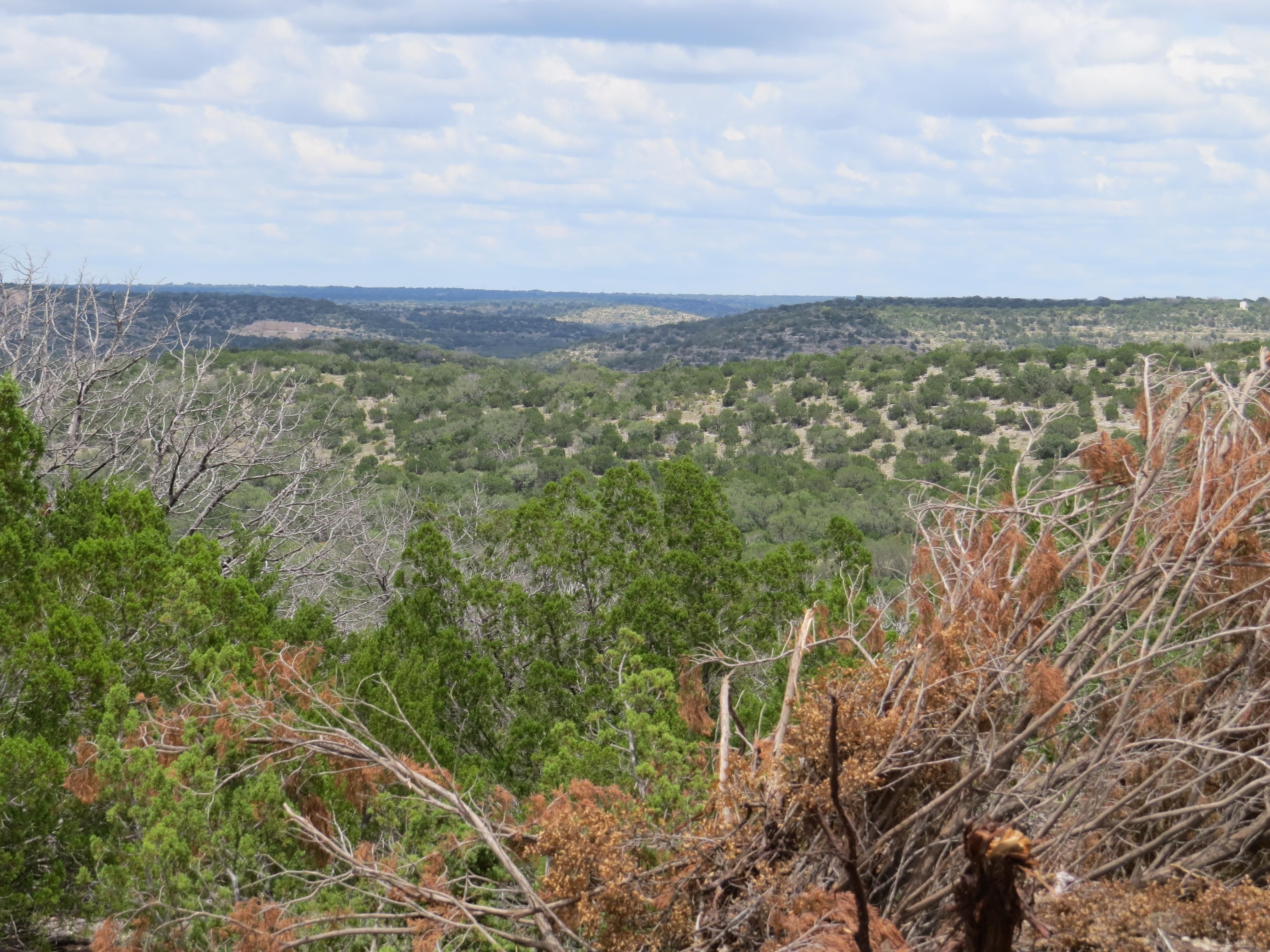 County Road 450, Rocksprings, TX 78880 | MLS: NHRN 13 | Land and Farm