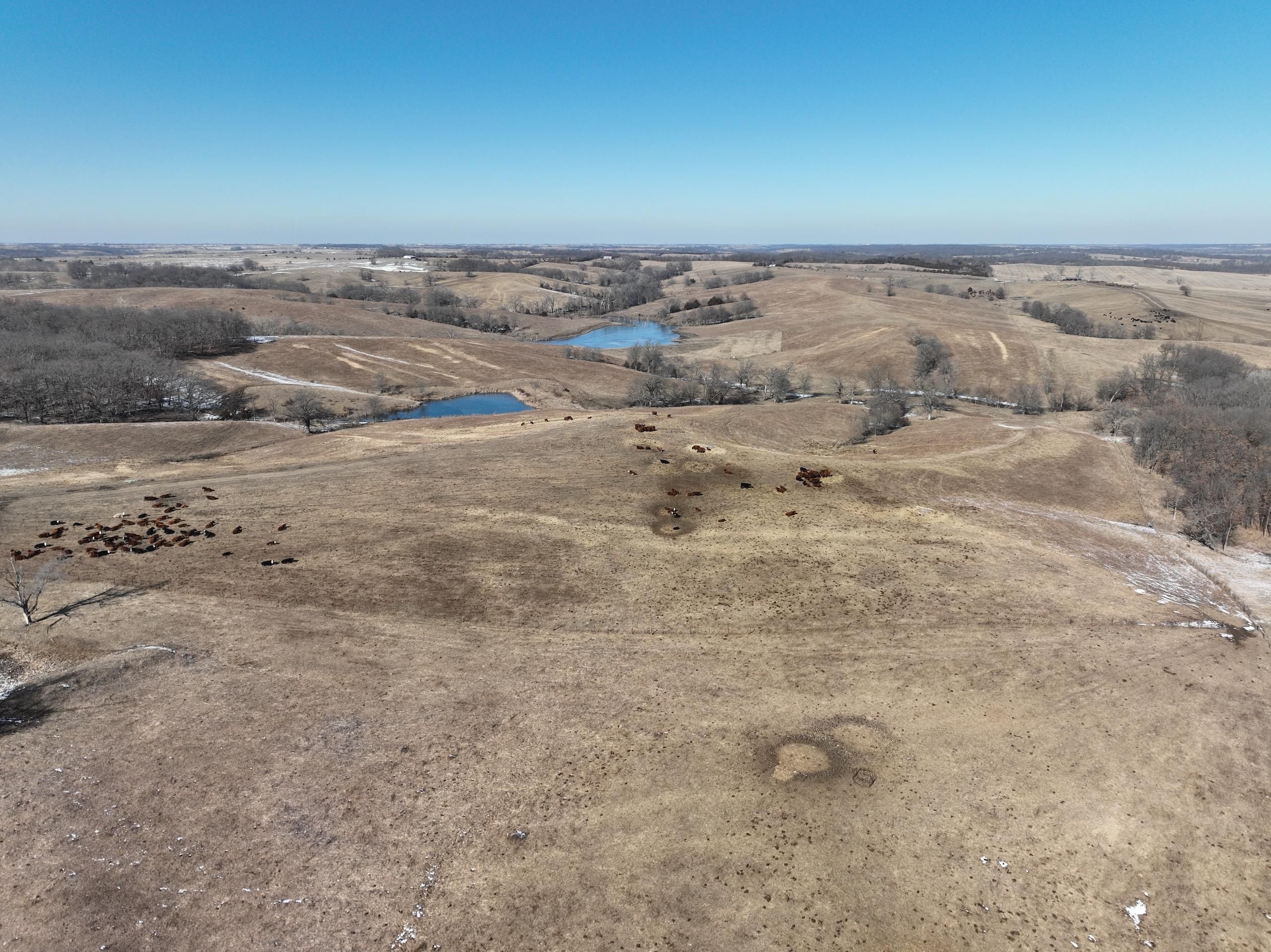 51333 Joiner Road, Pollock, MO 63560 | Land and Farm