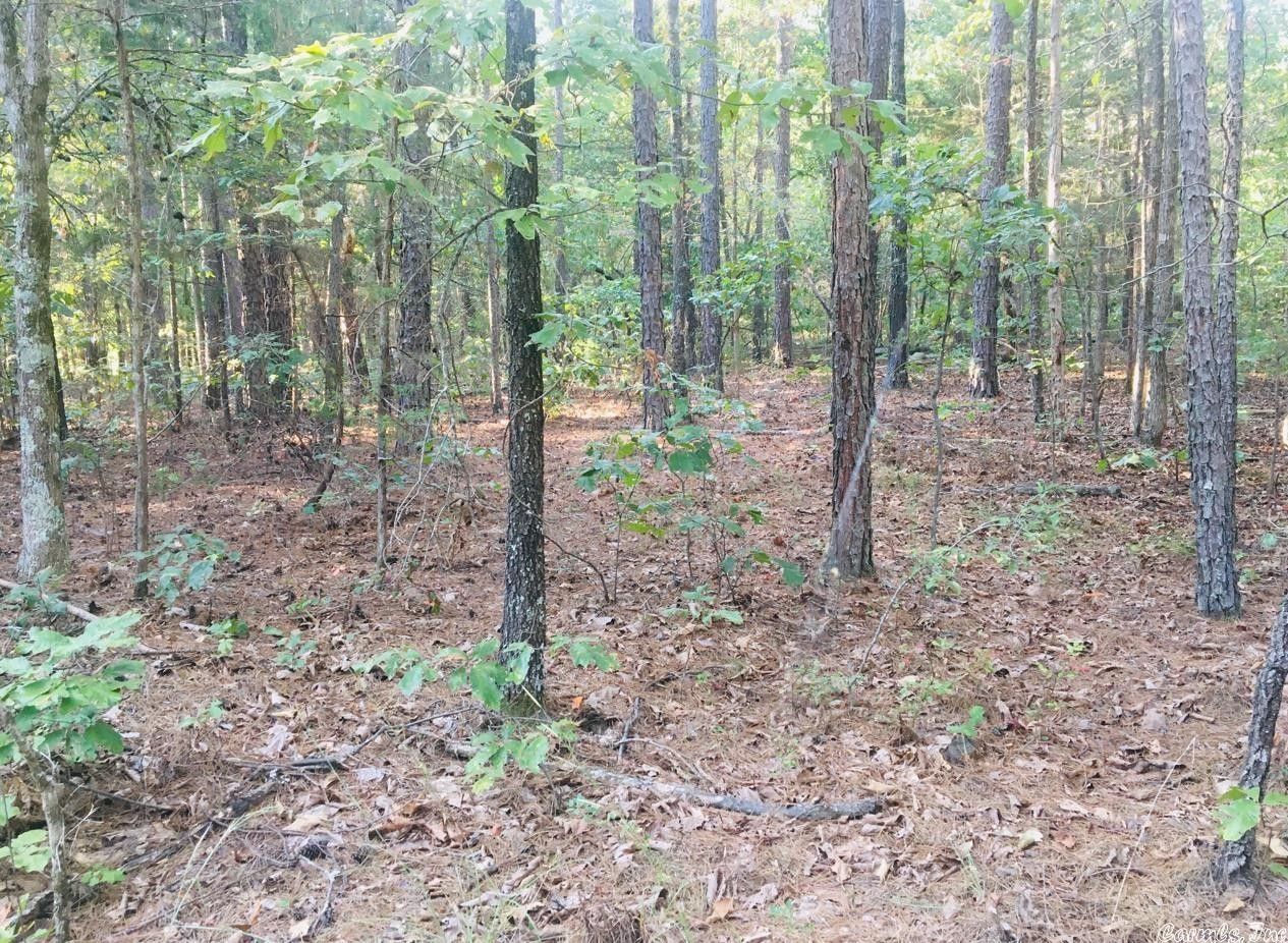 20 Acres, 1510 Lofton Road, Calico Rock, AR 72519 | Land and Farm