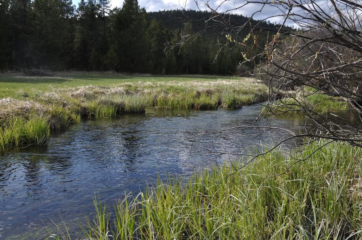 20.93 Acres, Nhn Hubbart Dam Road, Marion, MT 59925 | Land and Farm