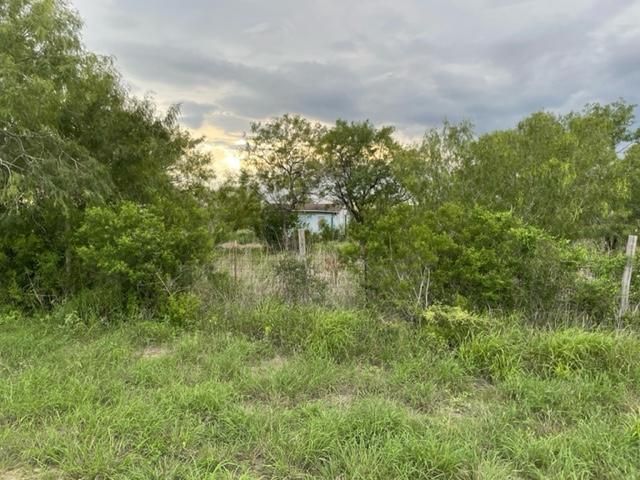 141 County Rd 3084, Orange Grove, TX 78372 | MLS: ElizabethM | Land and ...