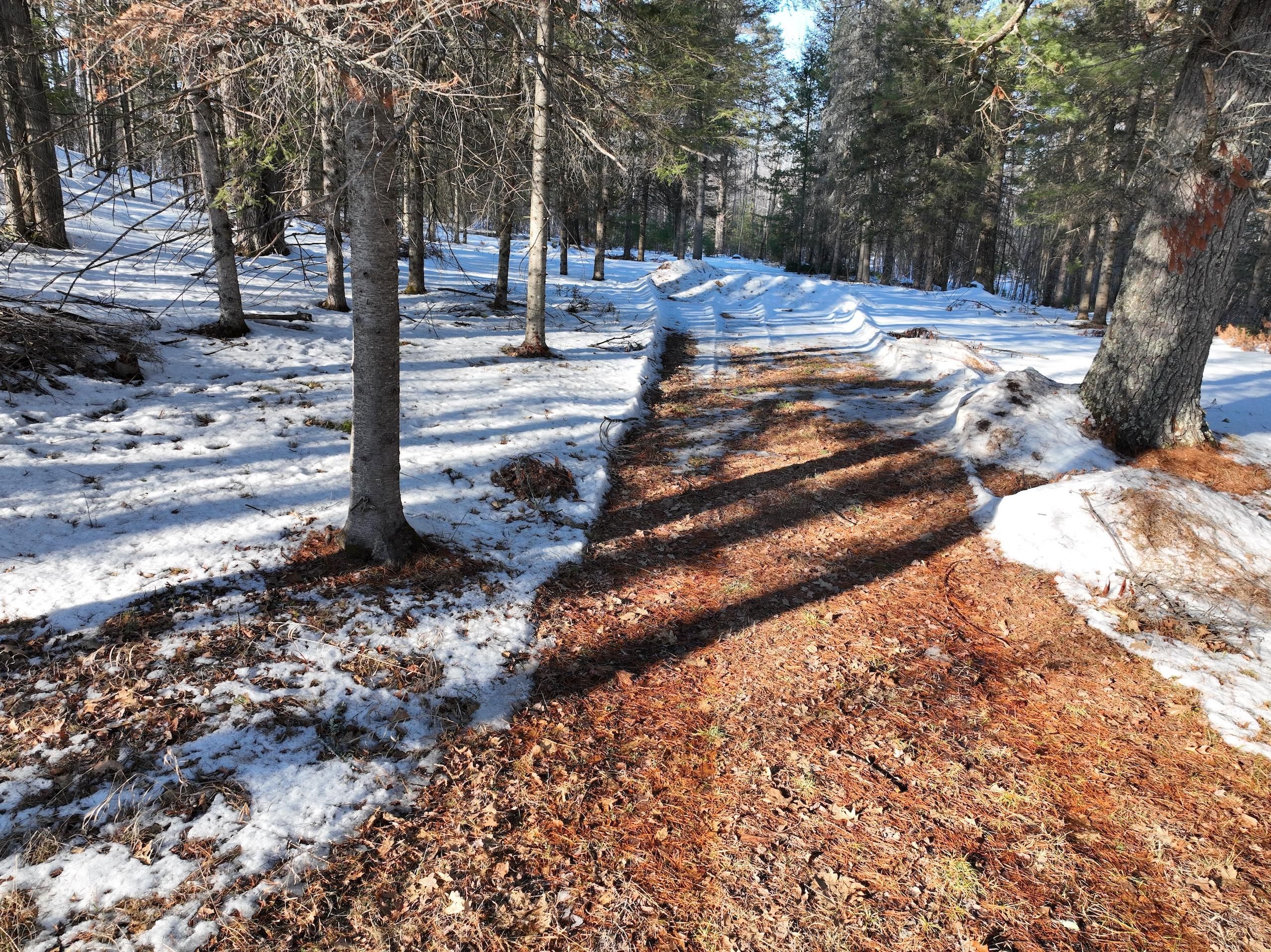 Crowe Road, Beecher, WI 54156 | Land and Farm