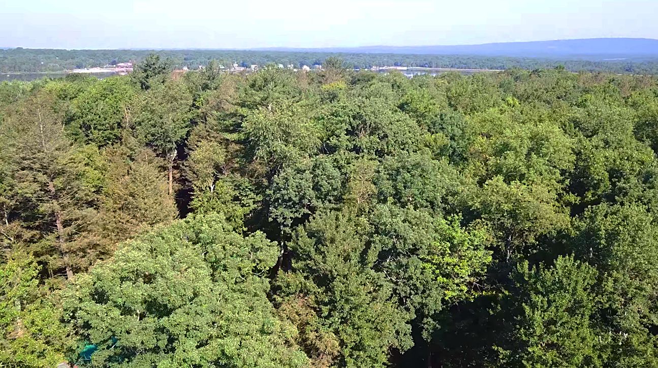 Pinebrook Drive #PA-683, Albrightsville, PA 18210 | Land and Farm