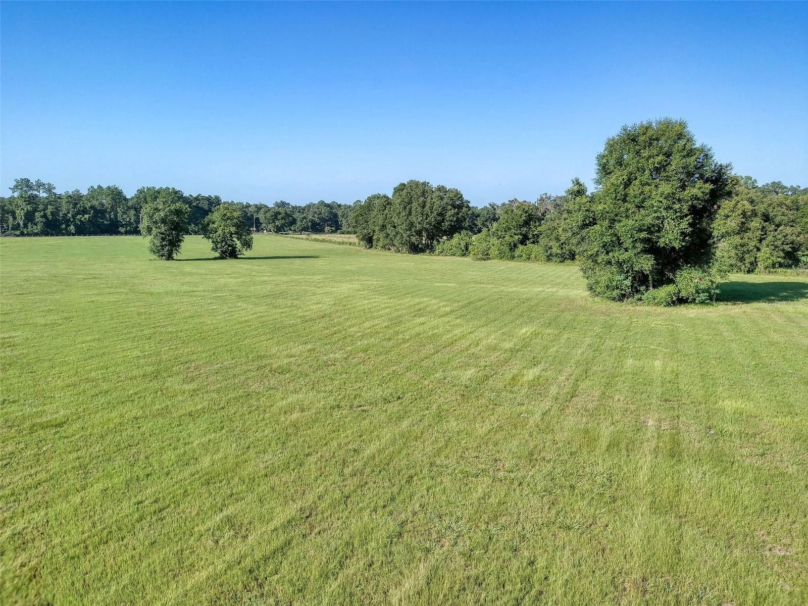 12.69 Acres, 4199 E HIGHWAY 316, Citra, FL 32113 | Land and Farm