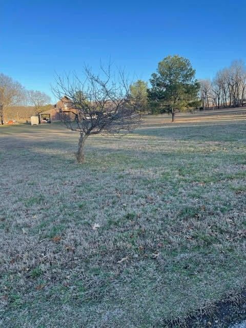 0.54 Acres, TBD LOT 1B Old Dike Rd, Grove, OK 74344 | Land and Farm