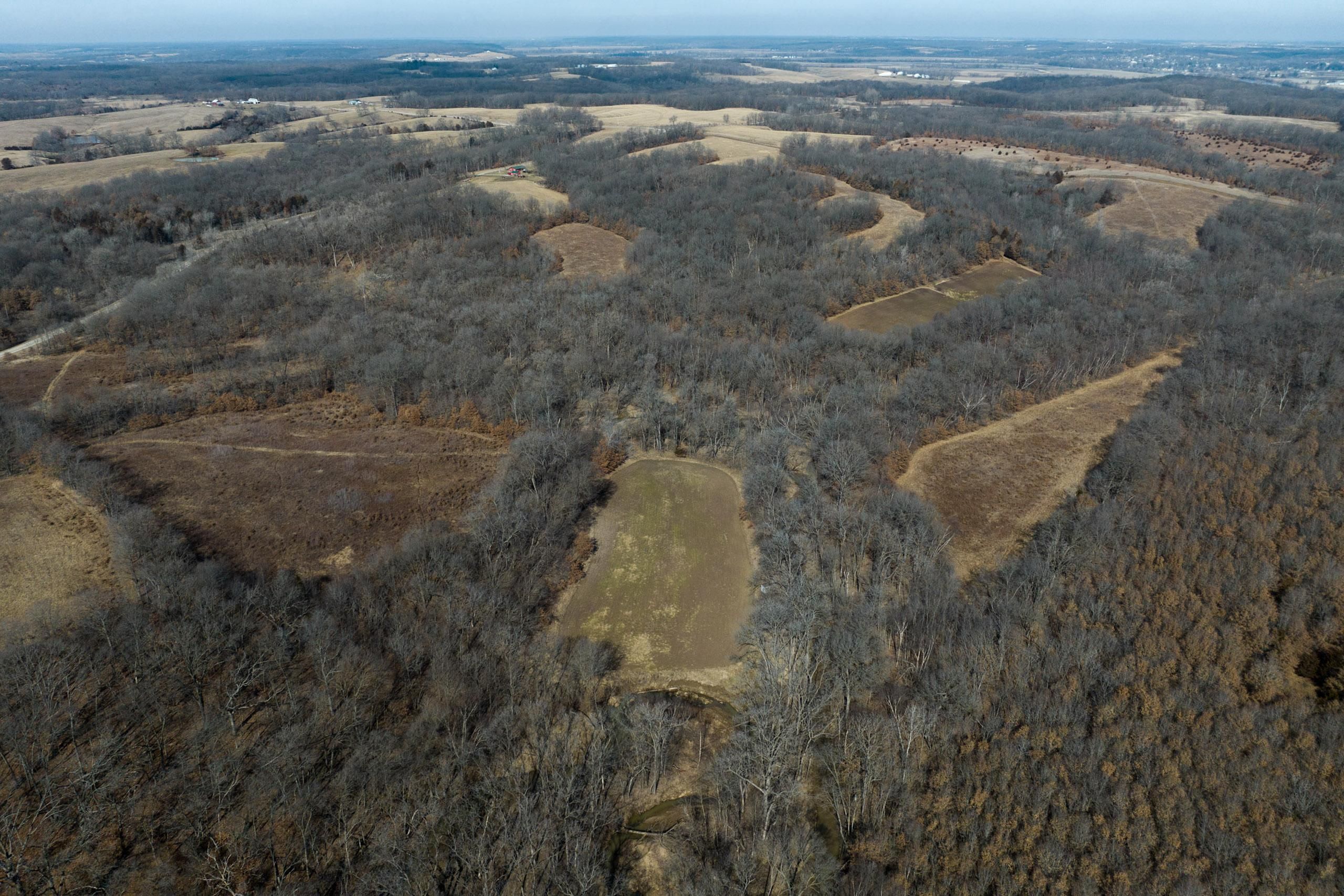 Wind Avenue, Floris, IA 52560 | Land and Farm