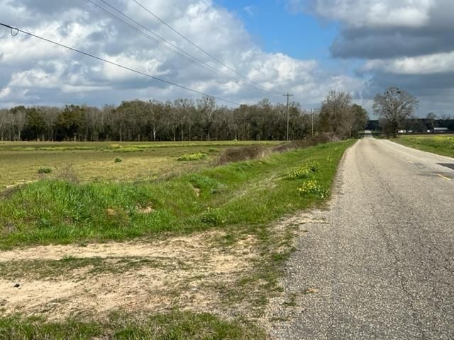 County Road 81, Gordon, AL 36343 | Land and Farm
