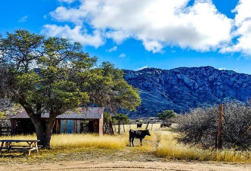 1760 North Mars Ranch Road, Elfrida, AZ 85610 | Land and Farm