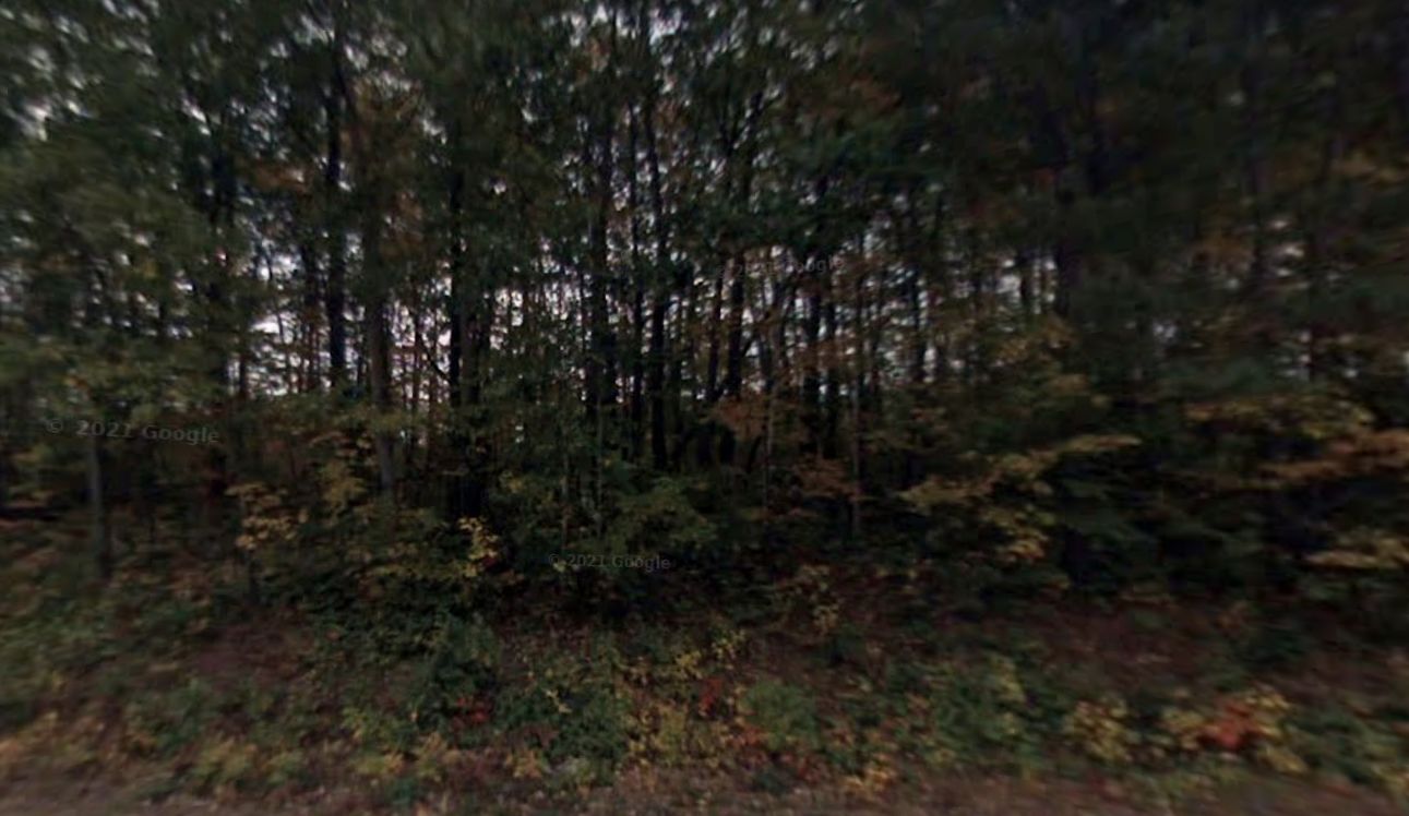 County Hwy F, Stone Lake, WI 54876 | Land and Farm