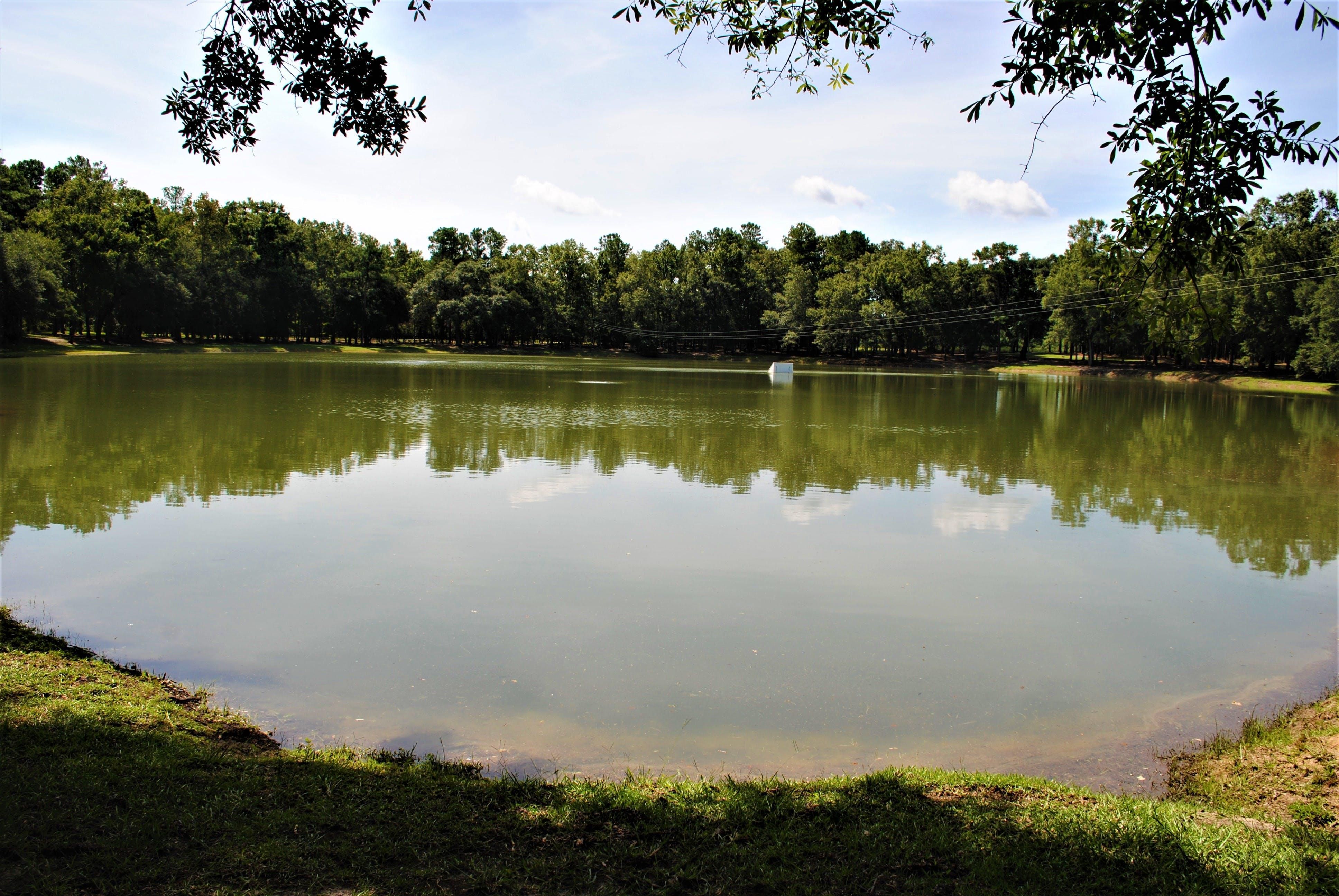 180 Acres, Suttons, SC 29510 | Land and Farm