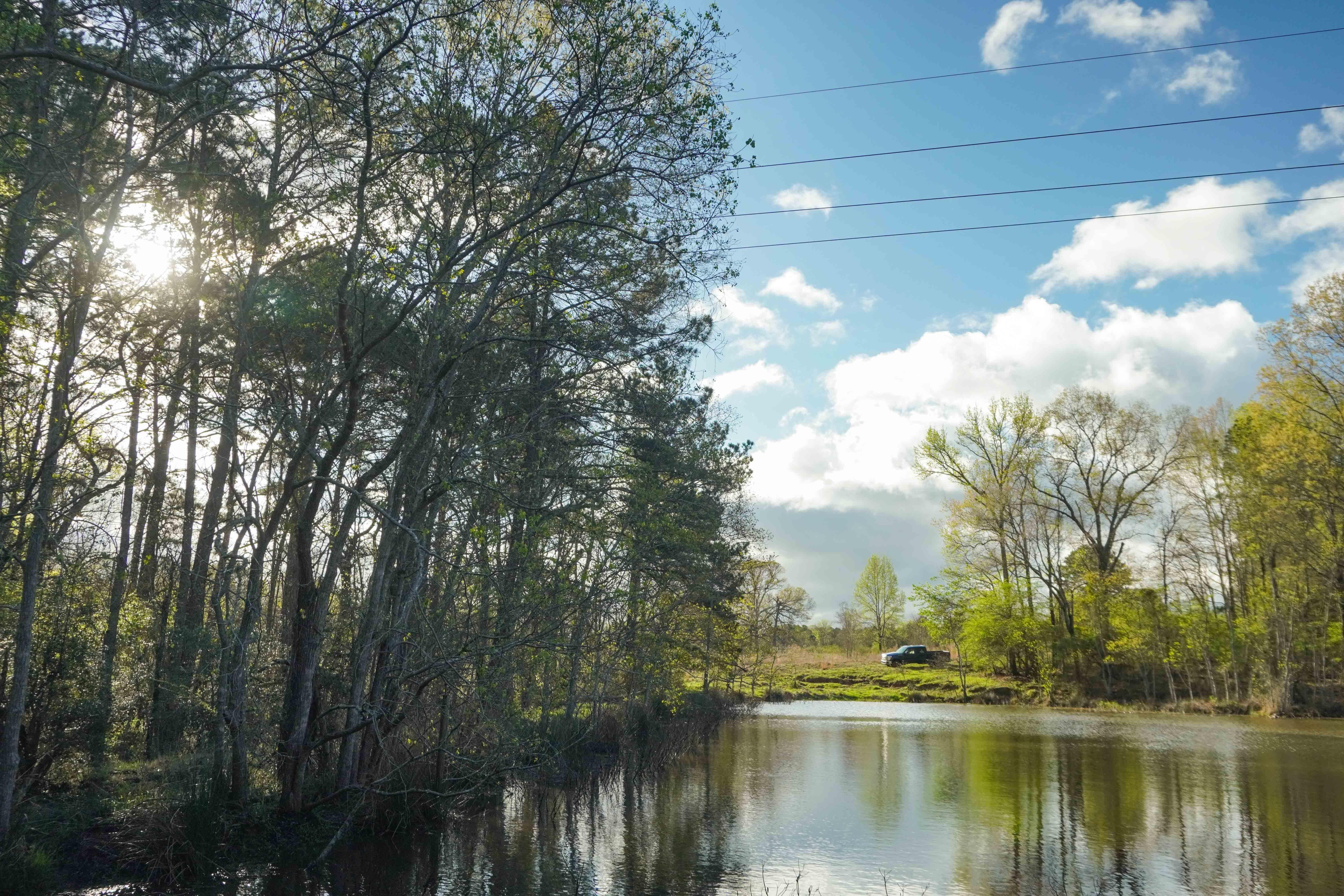 Farm to Market 276, Milam, TX 75959 | Land and Farm