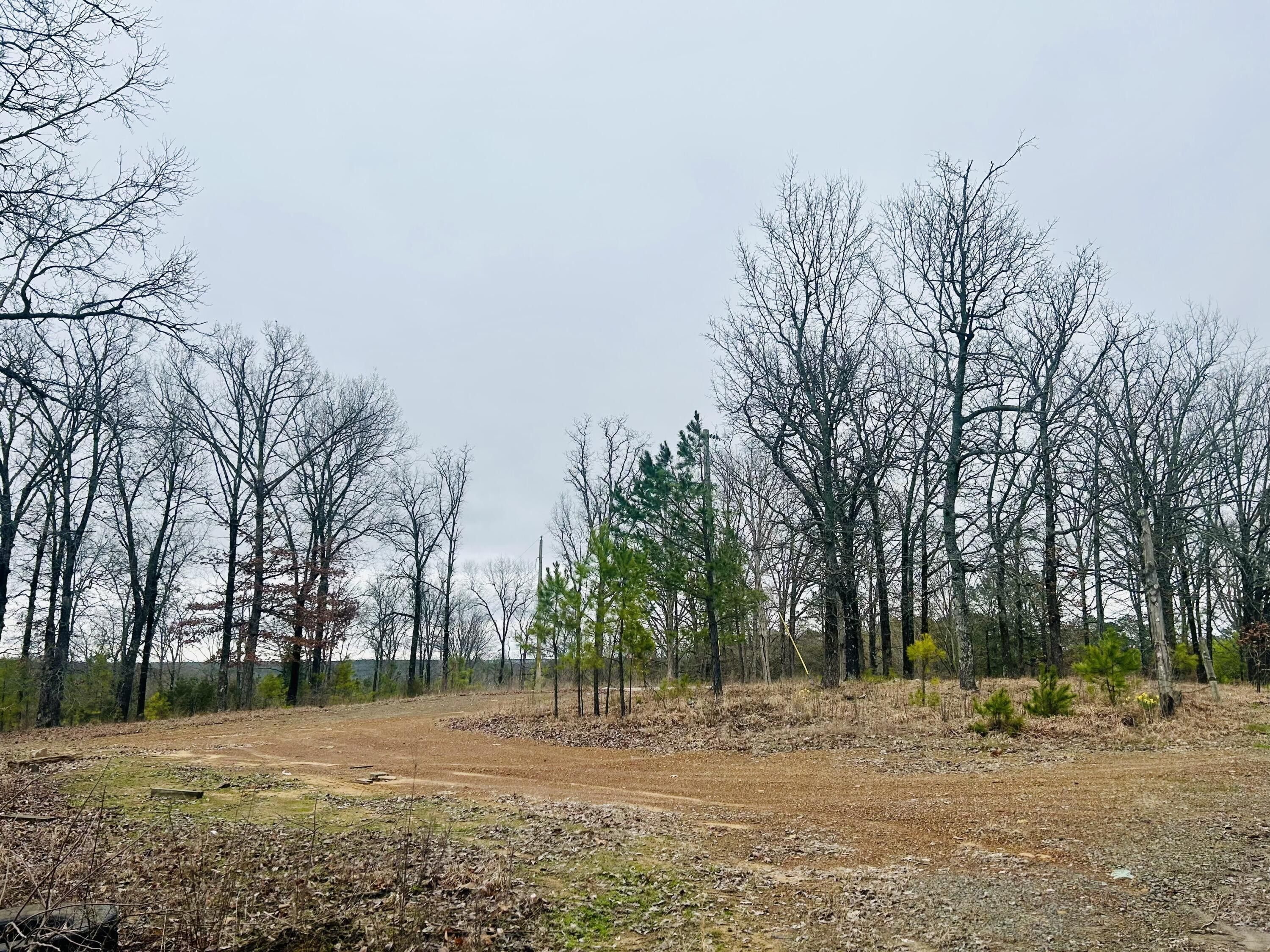 10 Acres, 320 hunters road, Center Ridge, AR 72027 | Land and Farm