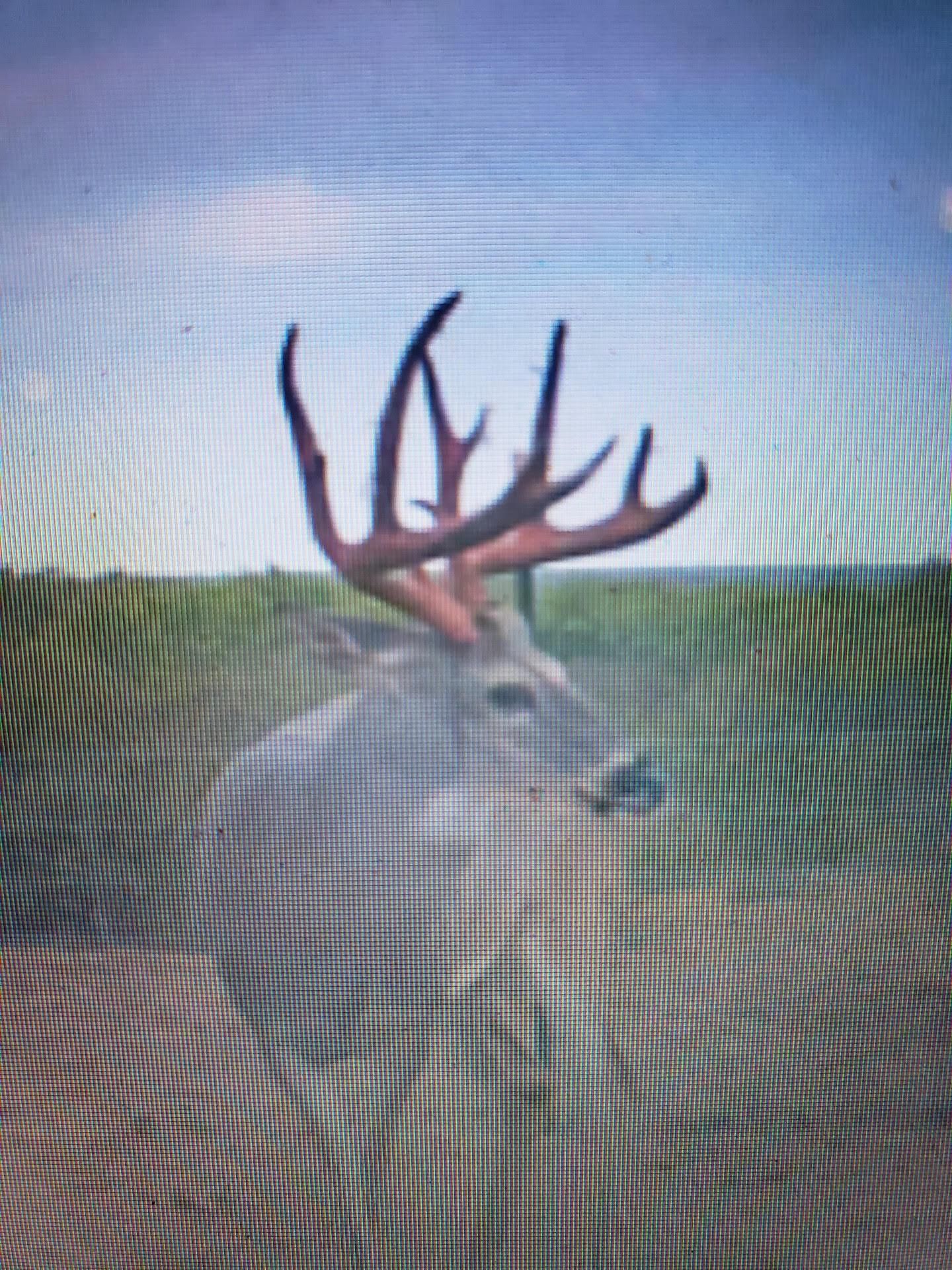 620 acres in Crystal City, TX, 78839 | Land and Farm