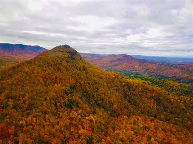 635 Acres, Birdseye Road, Castleton, VT 05735 | Land and Farm