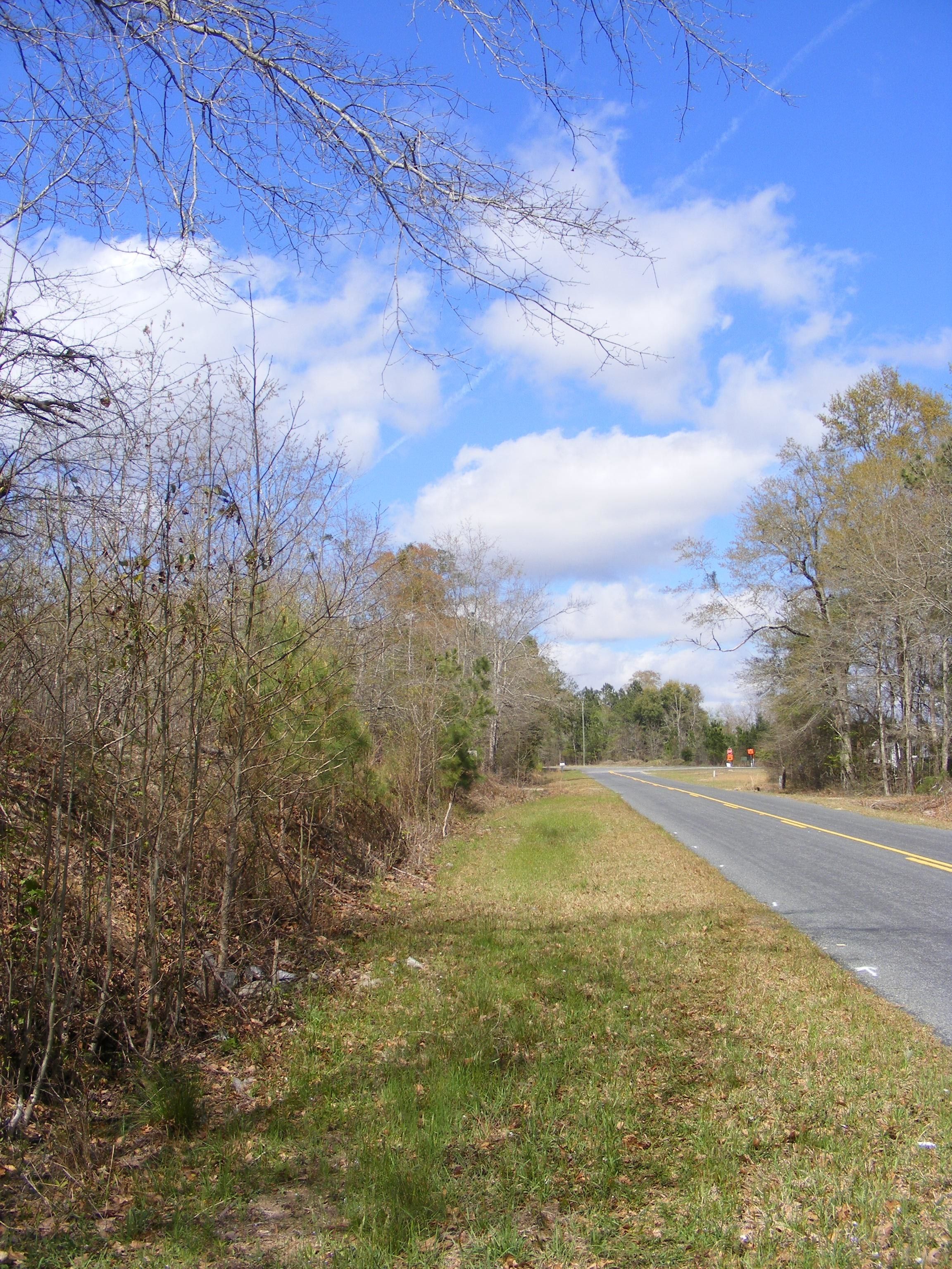 Murph Mill Road, Orangeburg, SC 29118 | Land and Farm