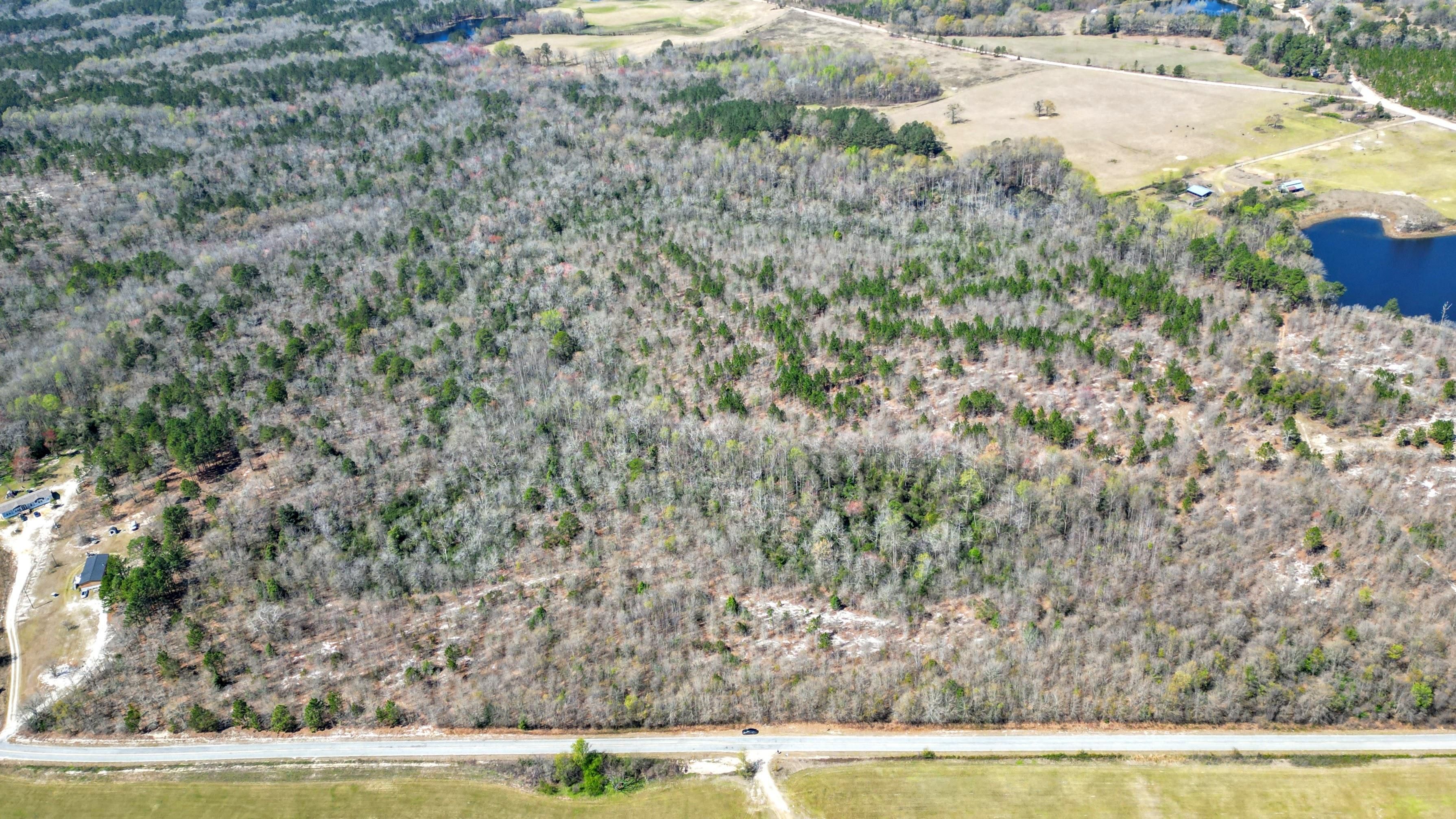 Angelus Rd, Jefferson, SC 29718 | Land and Farm