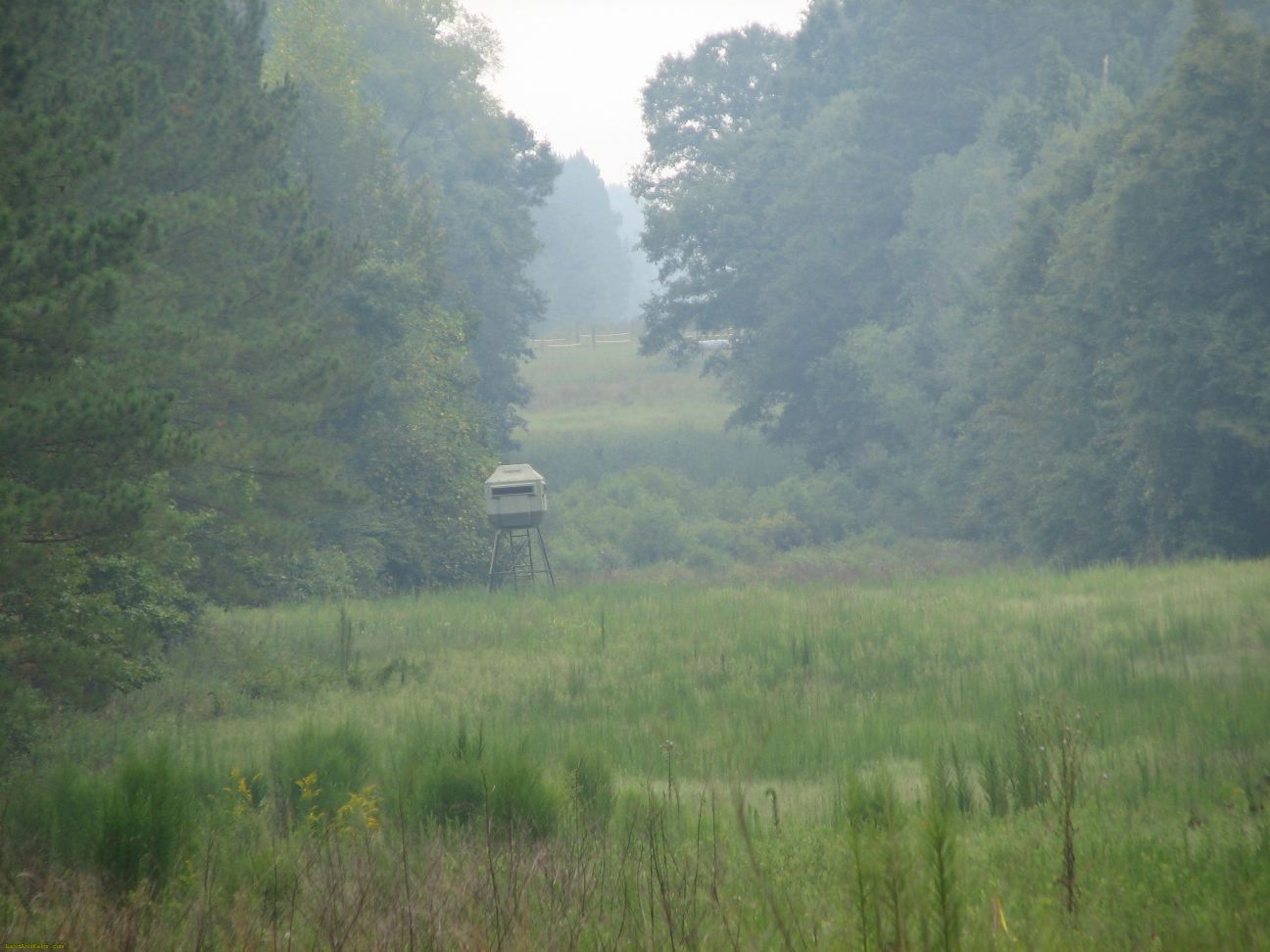 866 Acres, Buckhead Church Rd, Perkins, GA 30442 | Land and Farm