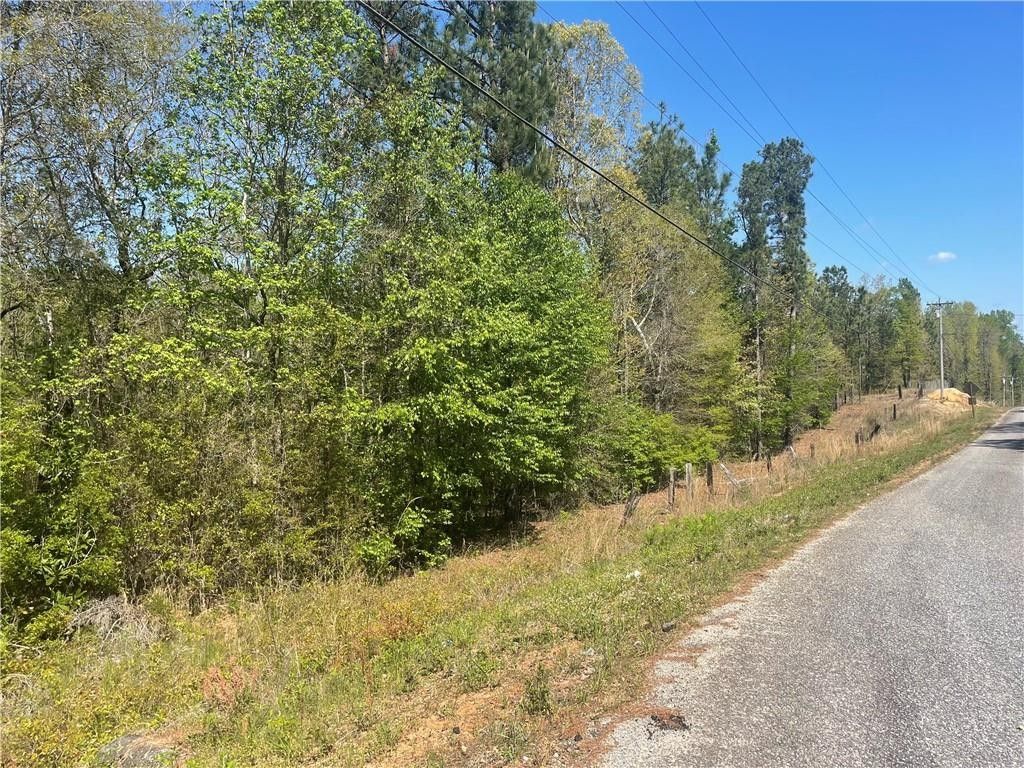 9 Acres, 0 County Road 24 N, Seale, AL 36875 | Land and Farm