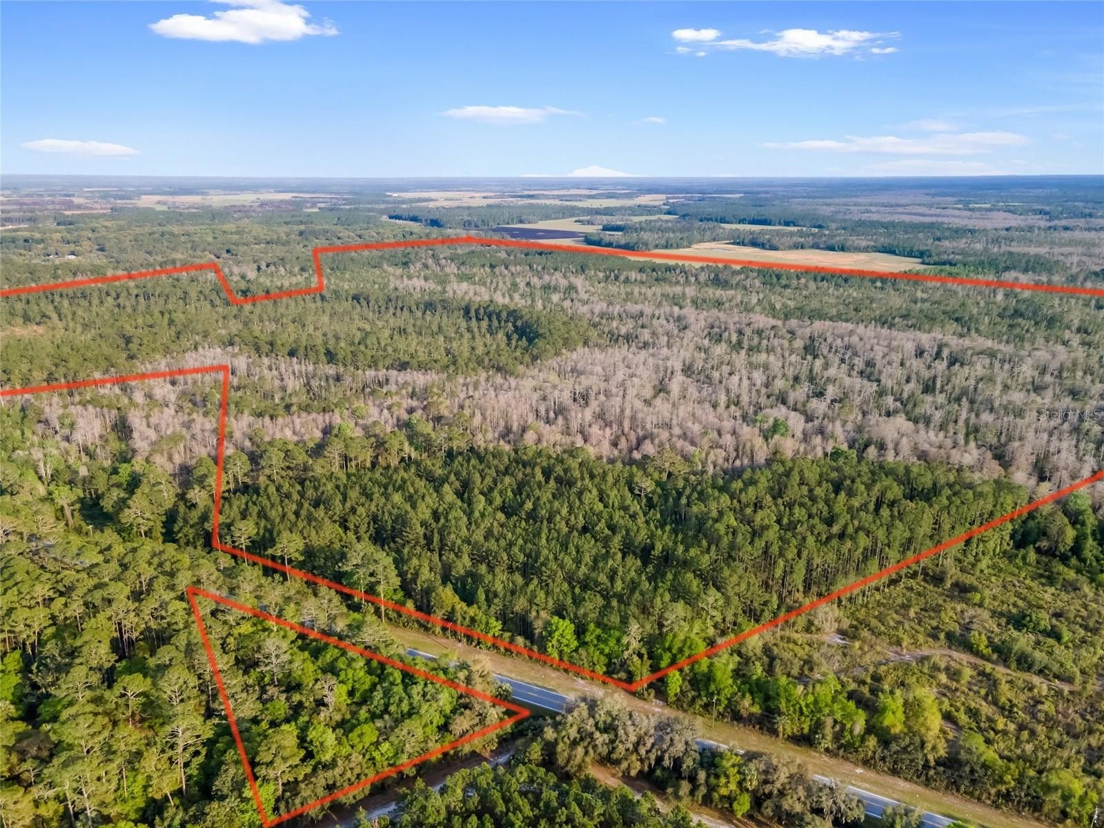 294.22 Acres, Tbd E HWY 318, Citra, FL 32113 | Land and Farm