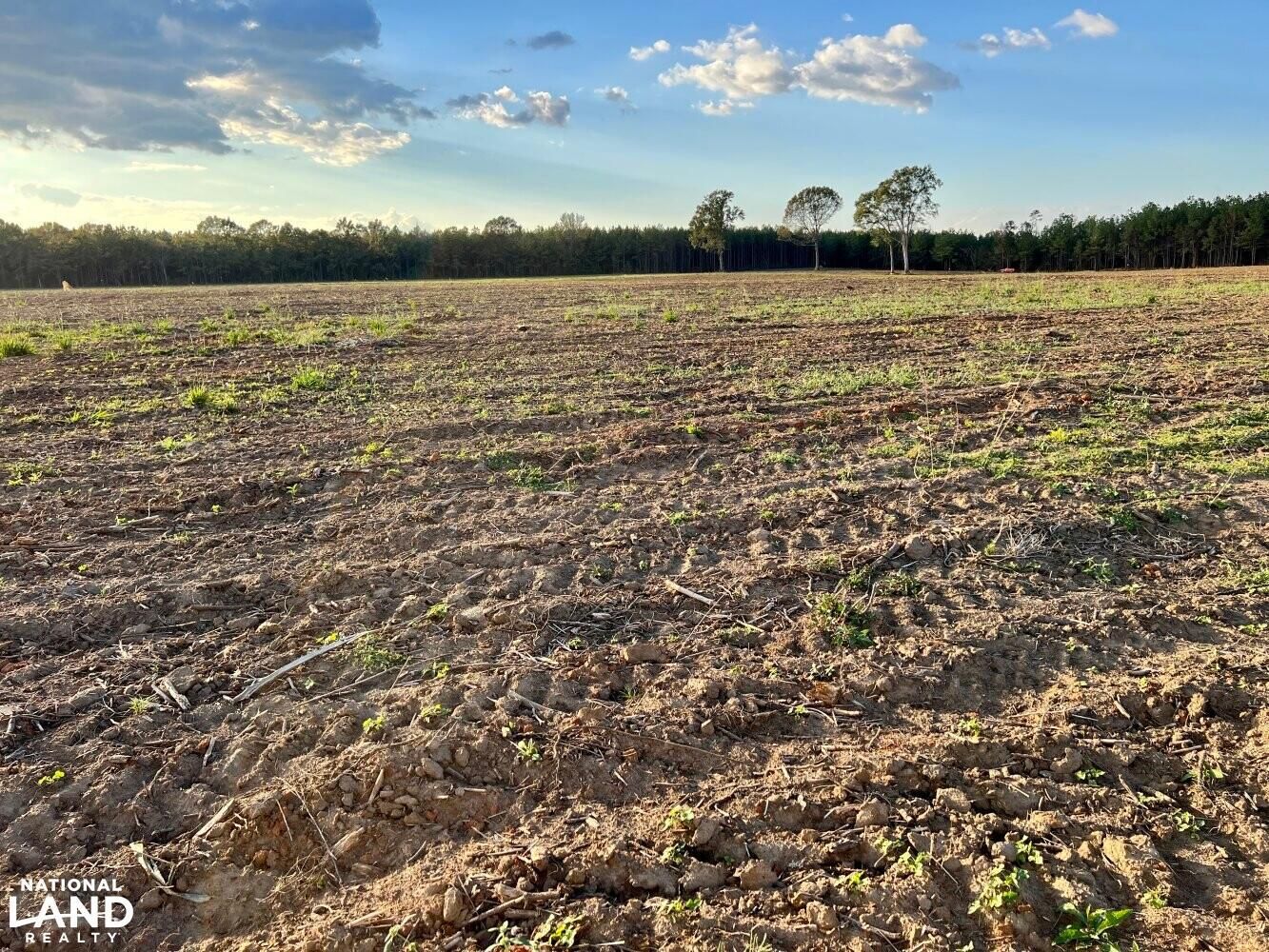 0 Mccullough Road, Atmore, AL 36502 | Land and Farm