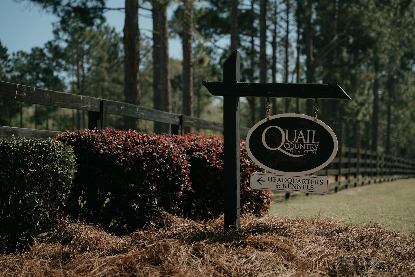 1134 Quail Country Road, Arlington, GA 39813 | Land and Farm