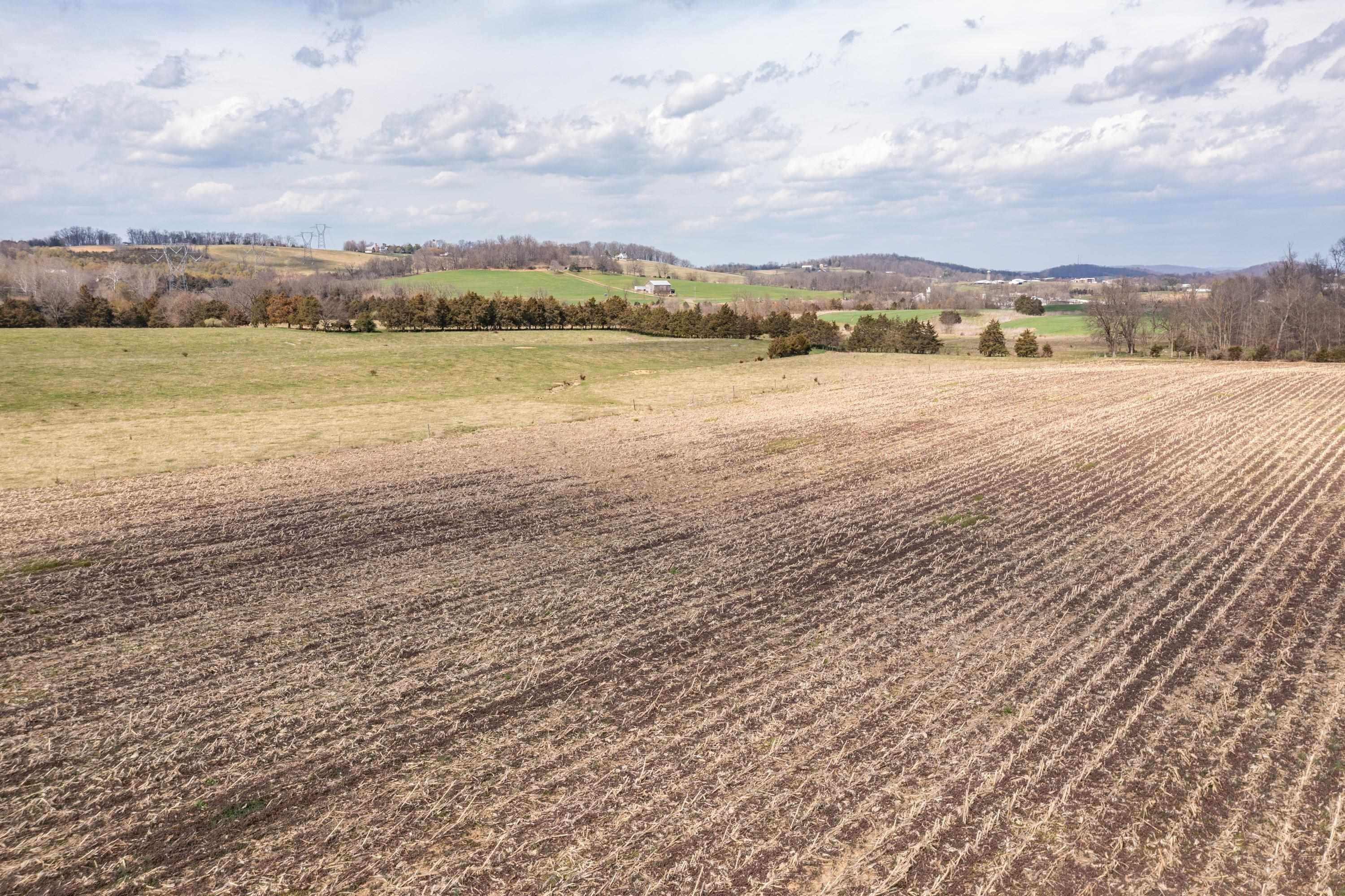 66.9 Acres, TBD BUTTERMILK RD, Mount Sidney, VA 24467 | Land and Farm