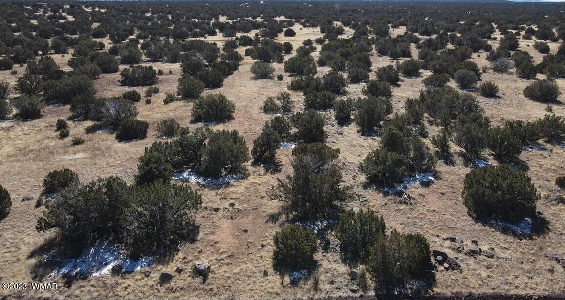 38 Acres, 38 Acres Woodland Valley Ranch, St Johns, AZ 85936 | Land and ...