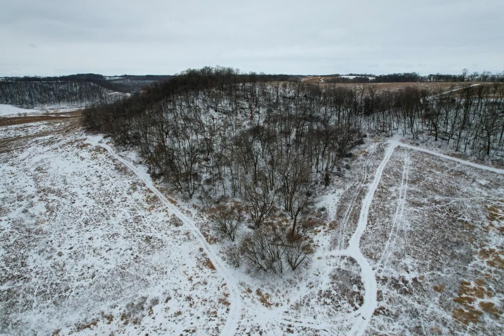 0000 Bear Road, Wadena, IA 52169 | MLS: Fayette 52 | Land and Farm