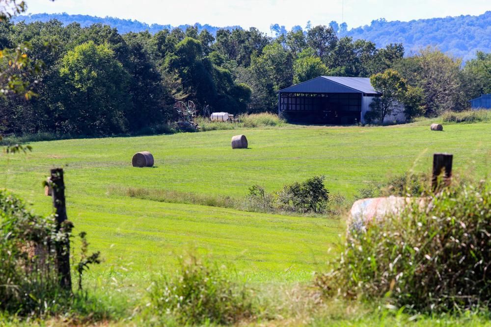 0000 CR 902, Green Forest, AR 73638 | MLS: Carroll 20 | Land and Farm