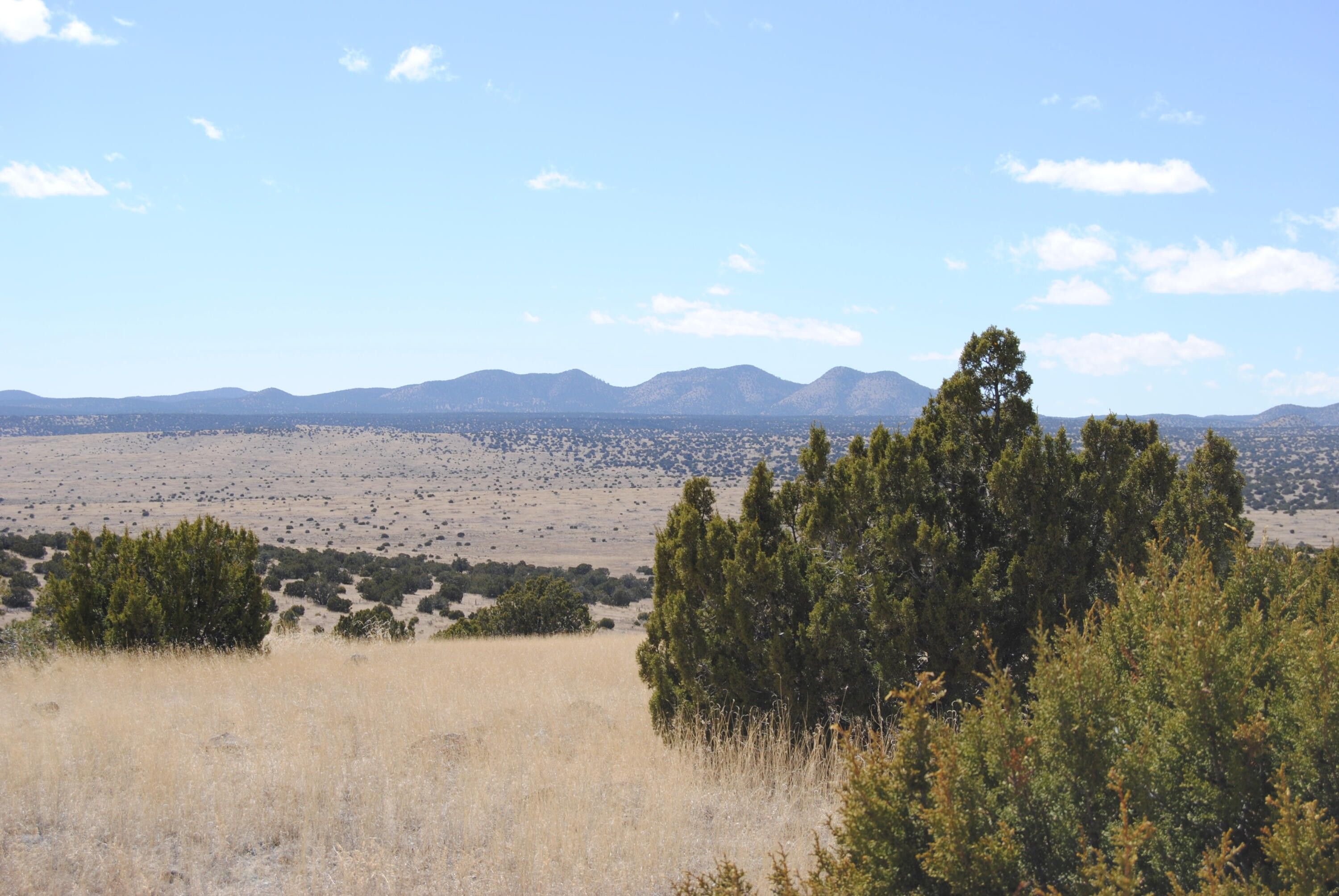 40.03 Acres, 38 Lost Calf Lane, Magdalena, NM 87825 | Land and Farm