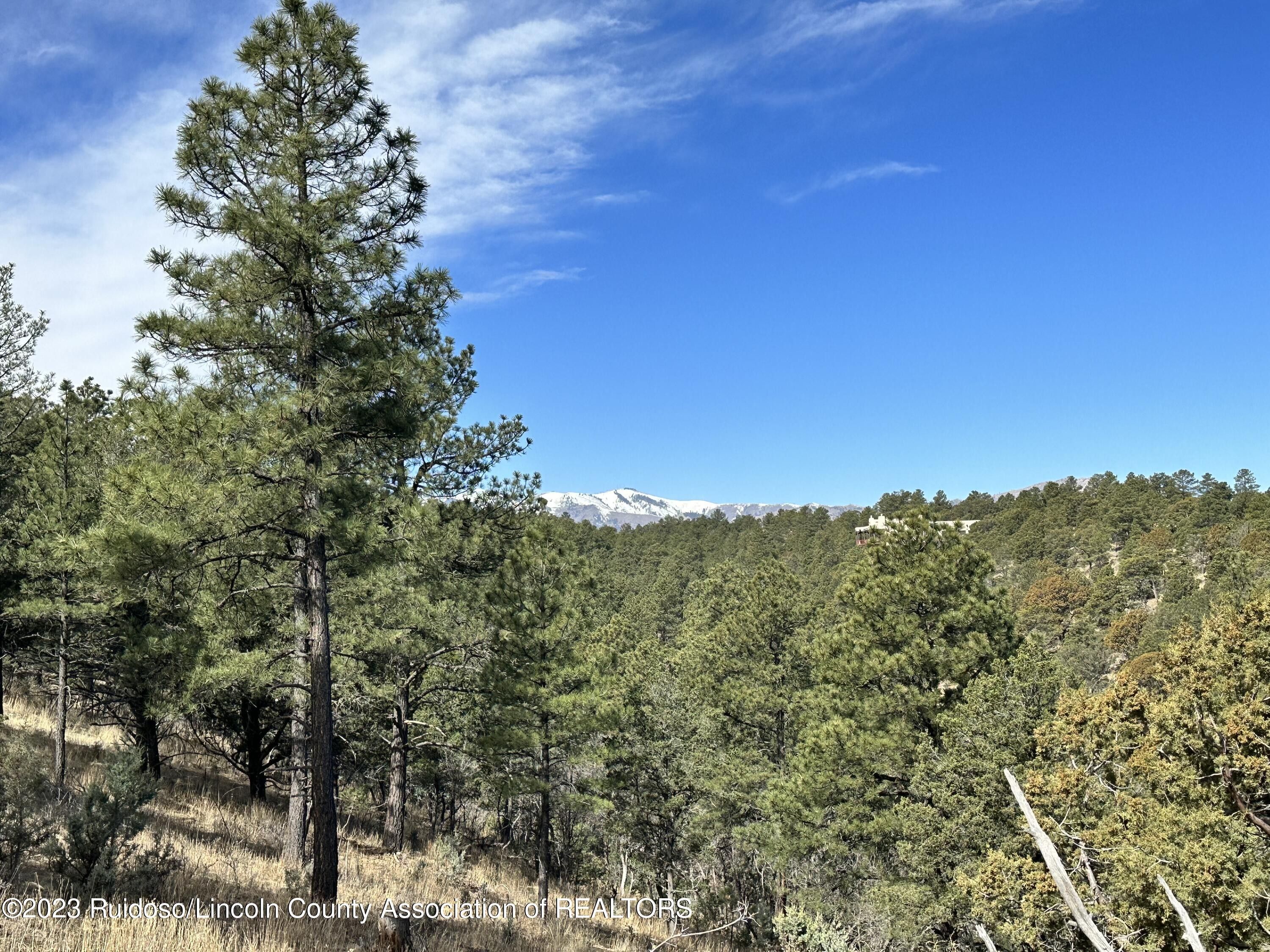 5.03 Acres, Lot 12 Golden Eagle Court, Alto, NM 88312 | Land and Farm