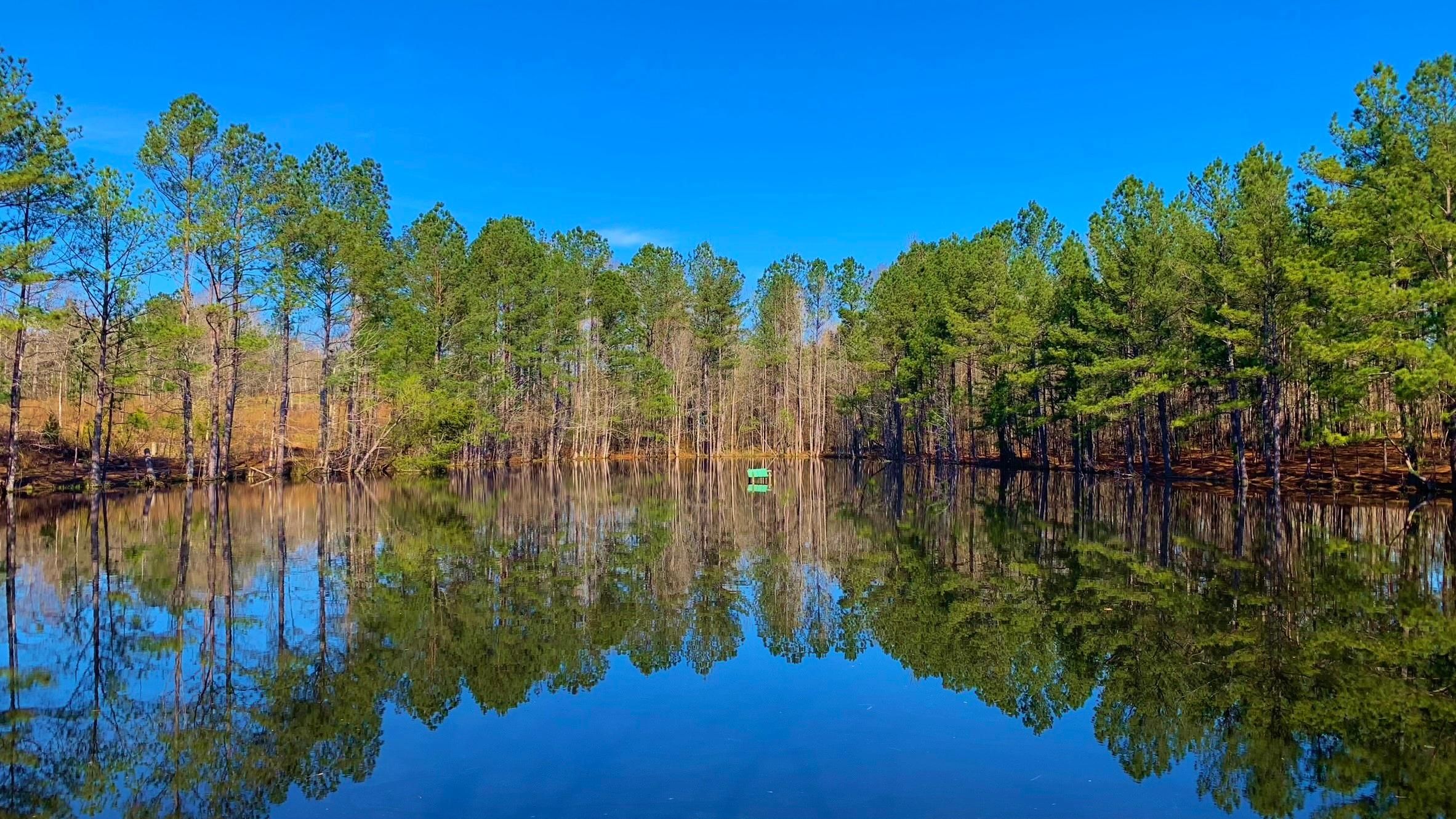 62.96 acres in Crawfordville, GA, 30631 | Land and Farm