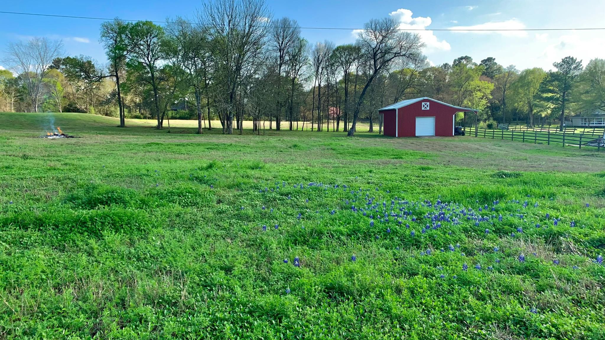 12464 FM 149 E, Richards, TX 77873 | MLS: 23004165 | Land and Farm