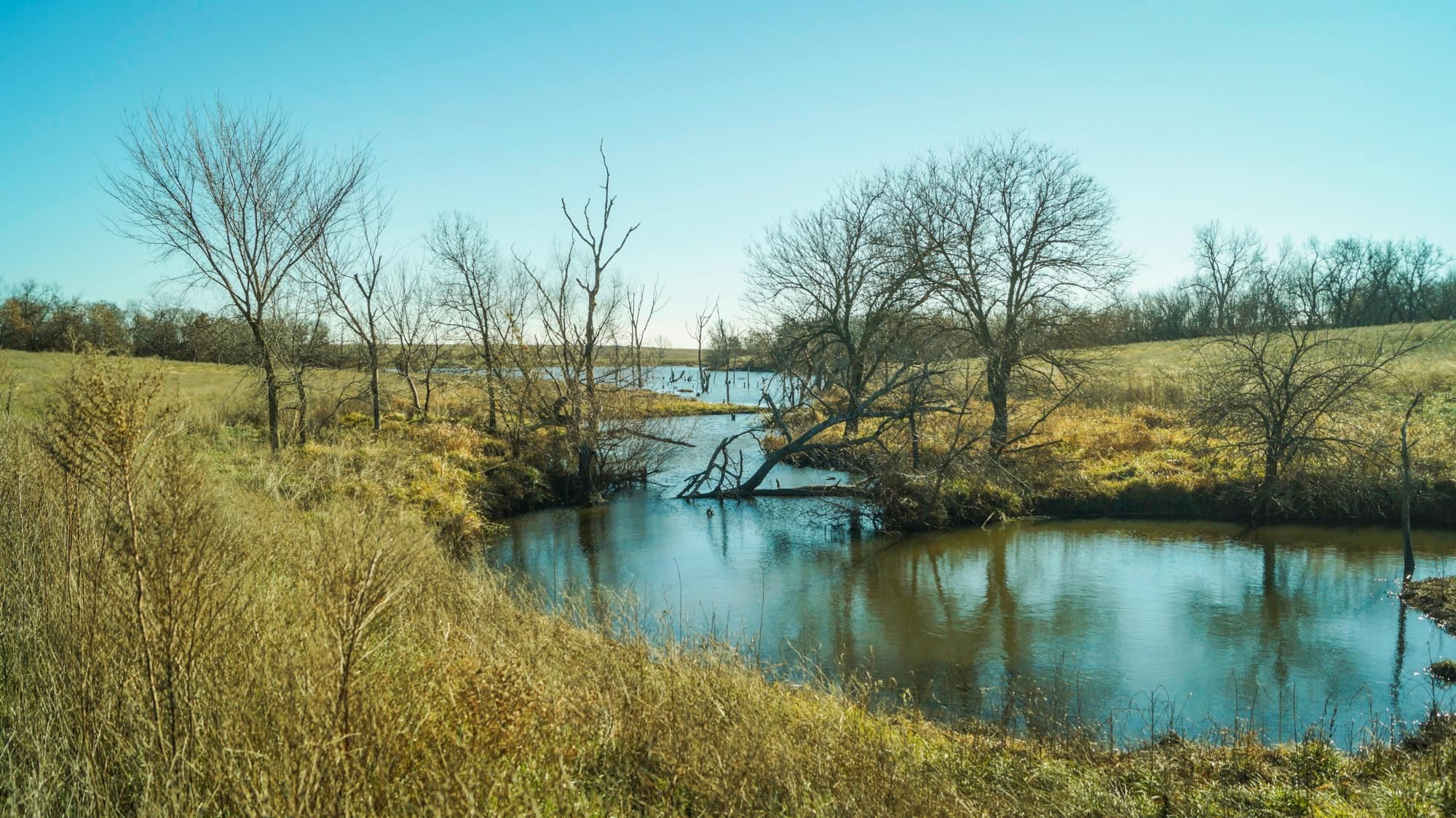 TBD State Route Y, Allendale, MO | Land and Farm