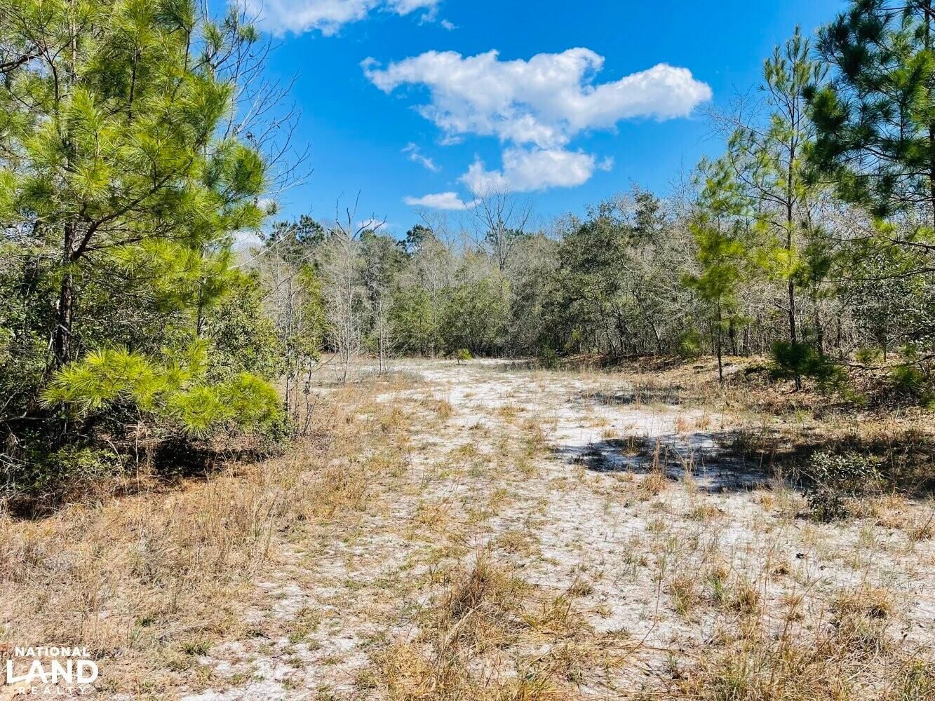 10 Acres, 0 Skylee Dr, Shallotte, NC 28470 | Land and Farm